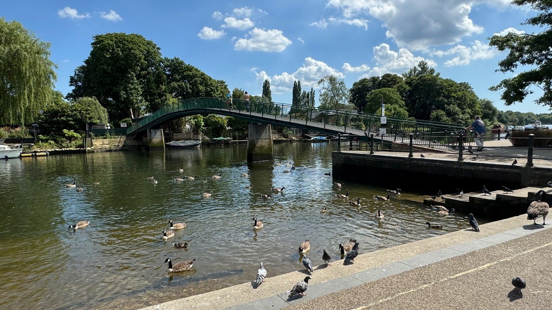 Eel Pie Island Museum - Twickenham - Nextdoor