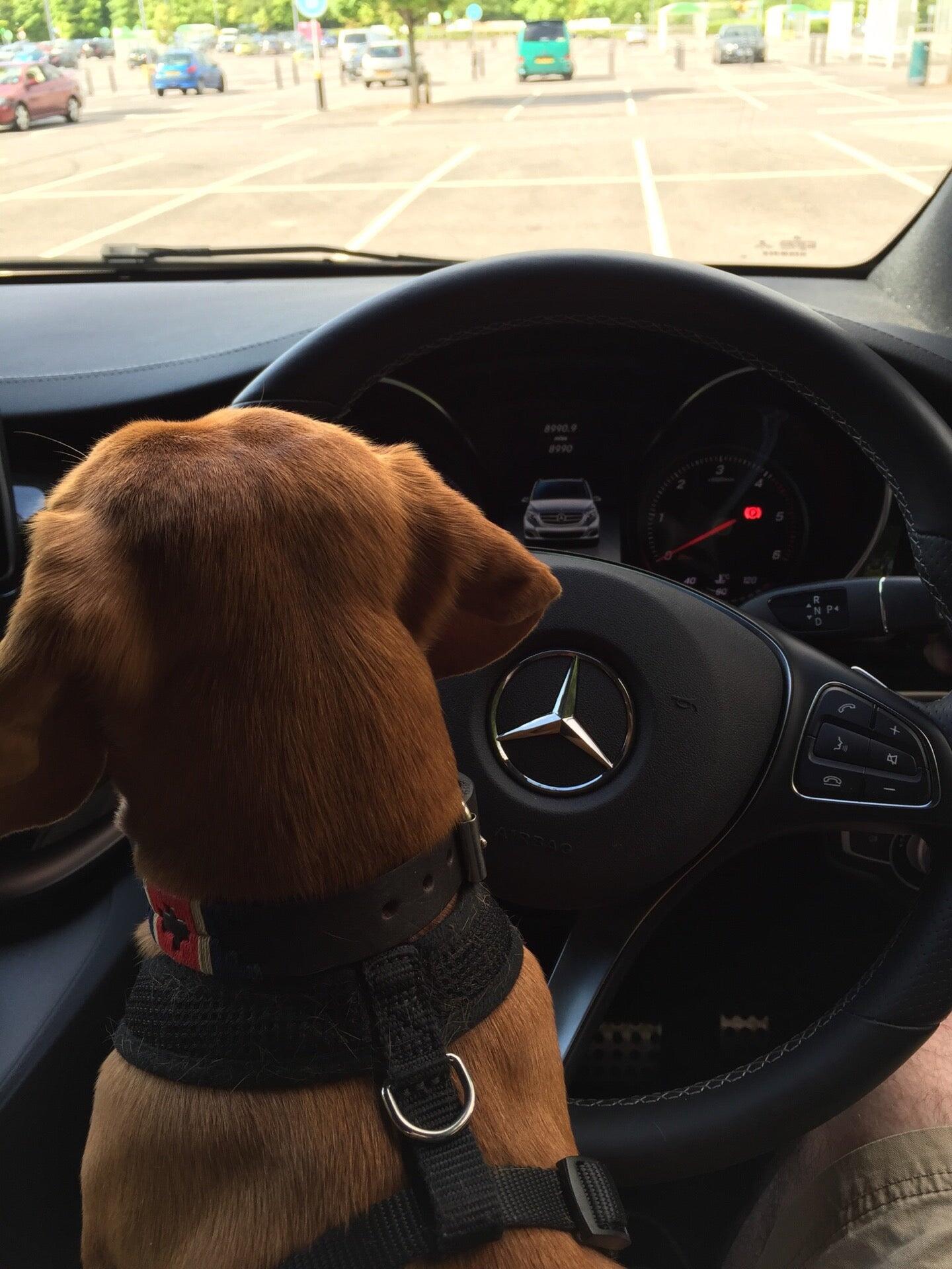 Mercedes Benz - Guildford - Nextdoor