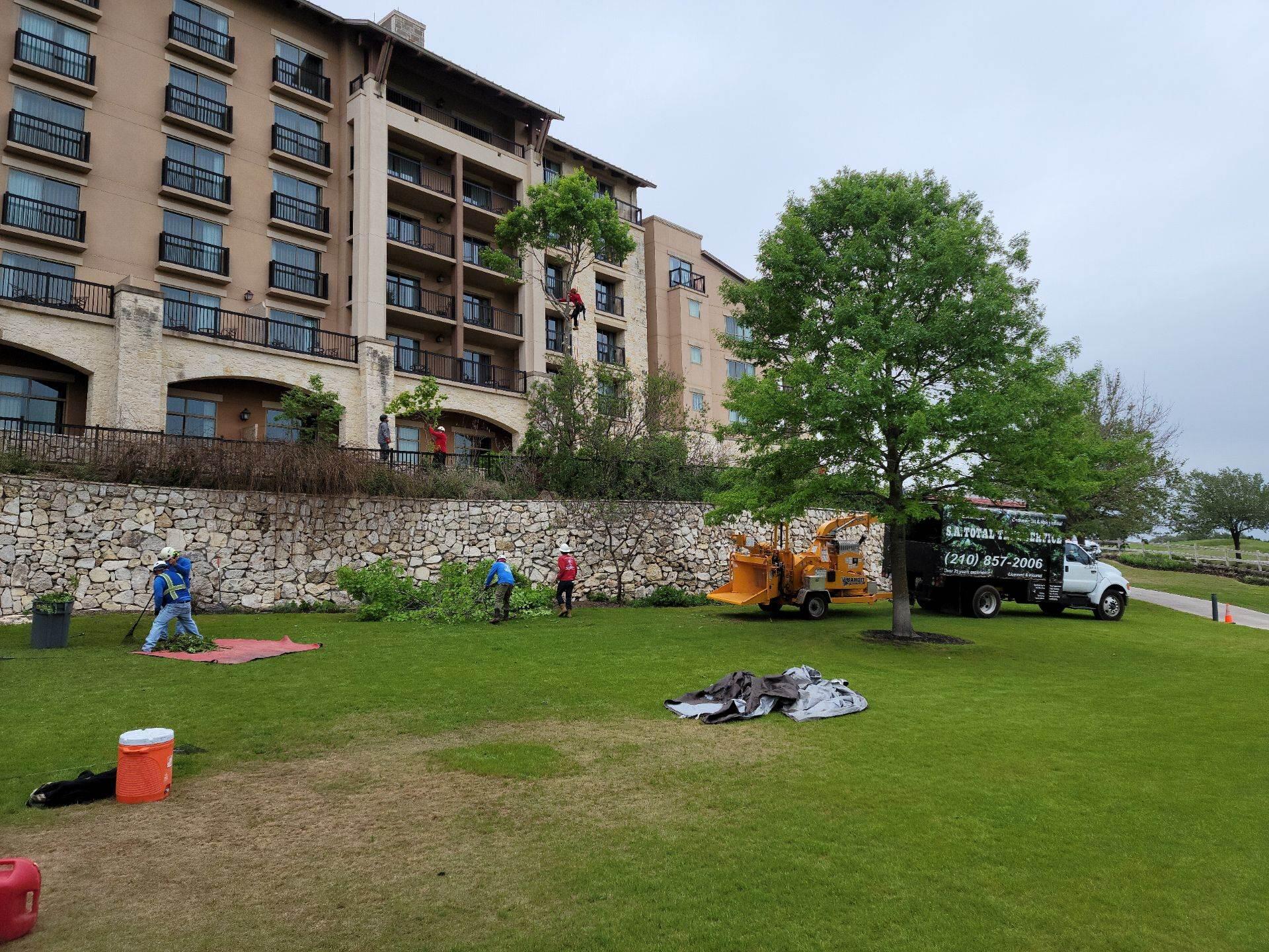 S.A. Total Tree Service - Helotes, TX - Nextdoor