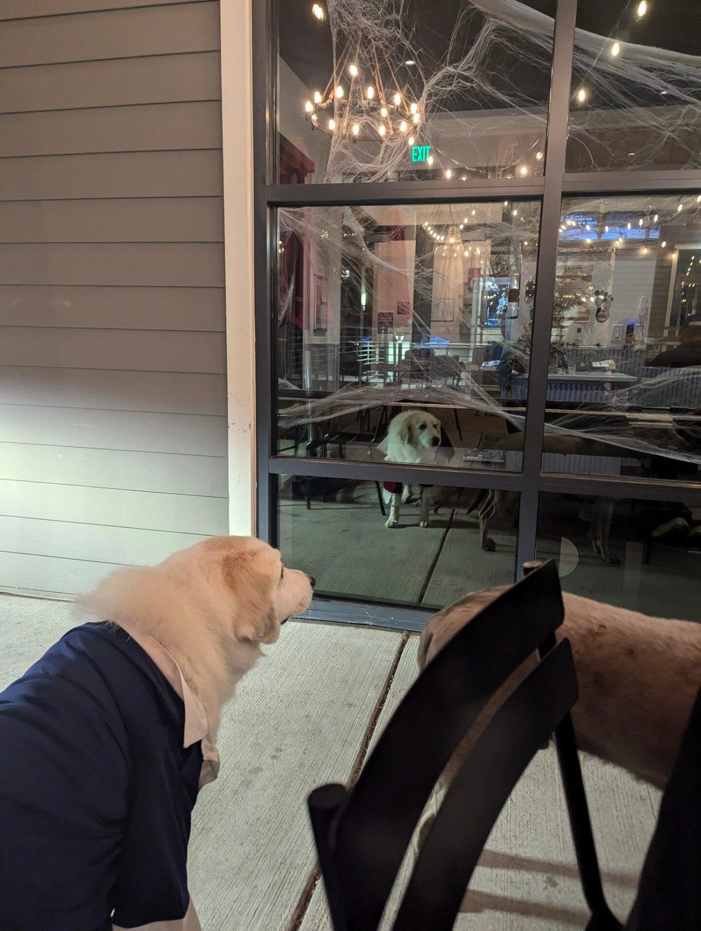 I.C. Brewhouse - Centennial, CO - Nextdoor