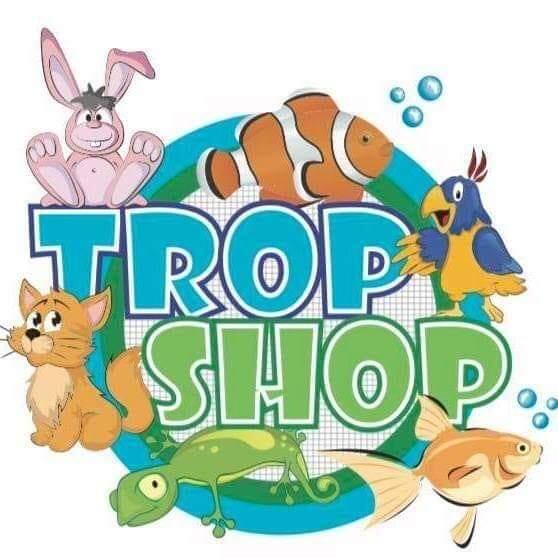 The Trop Shop - Capel St. Mary - Nextdoor