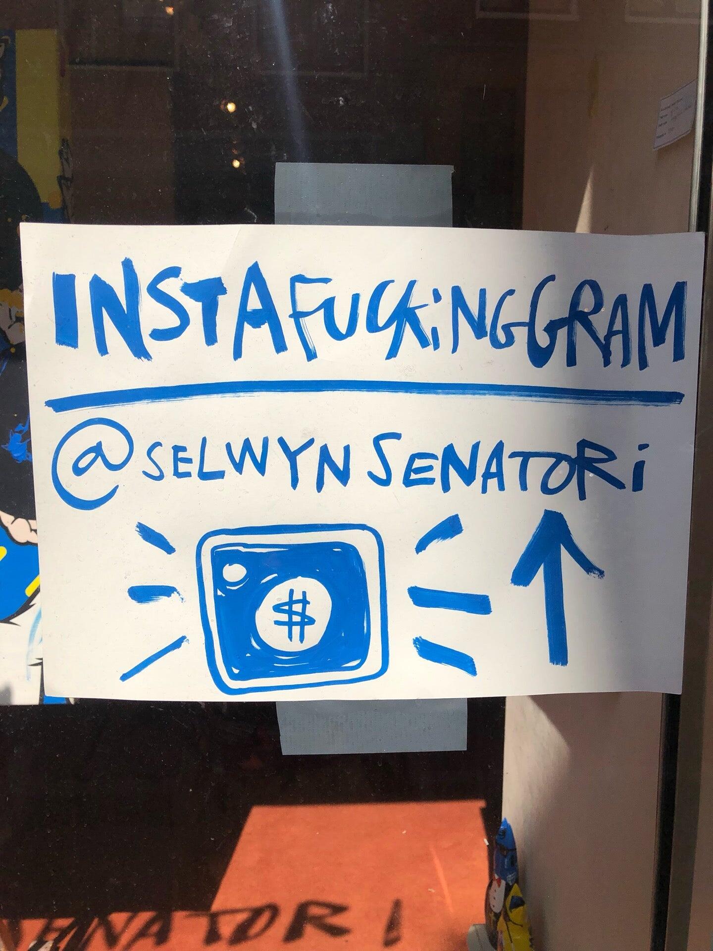 Selwyn Senatori Art Gallery - Nextdoor