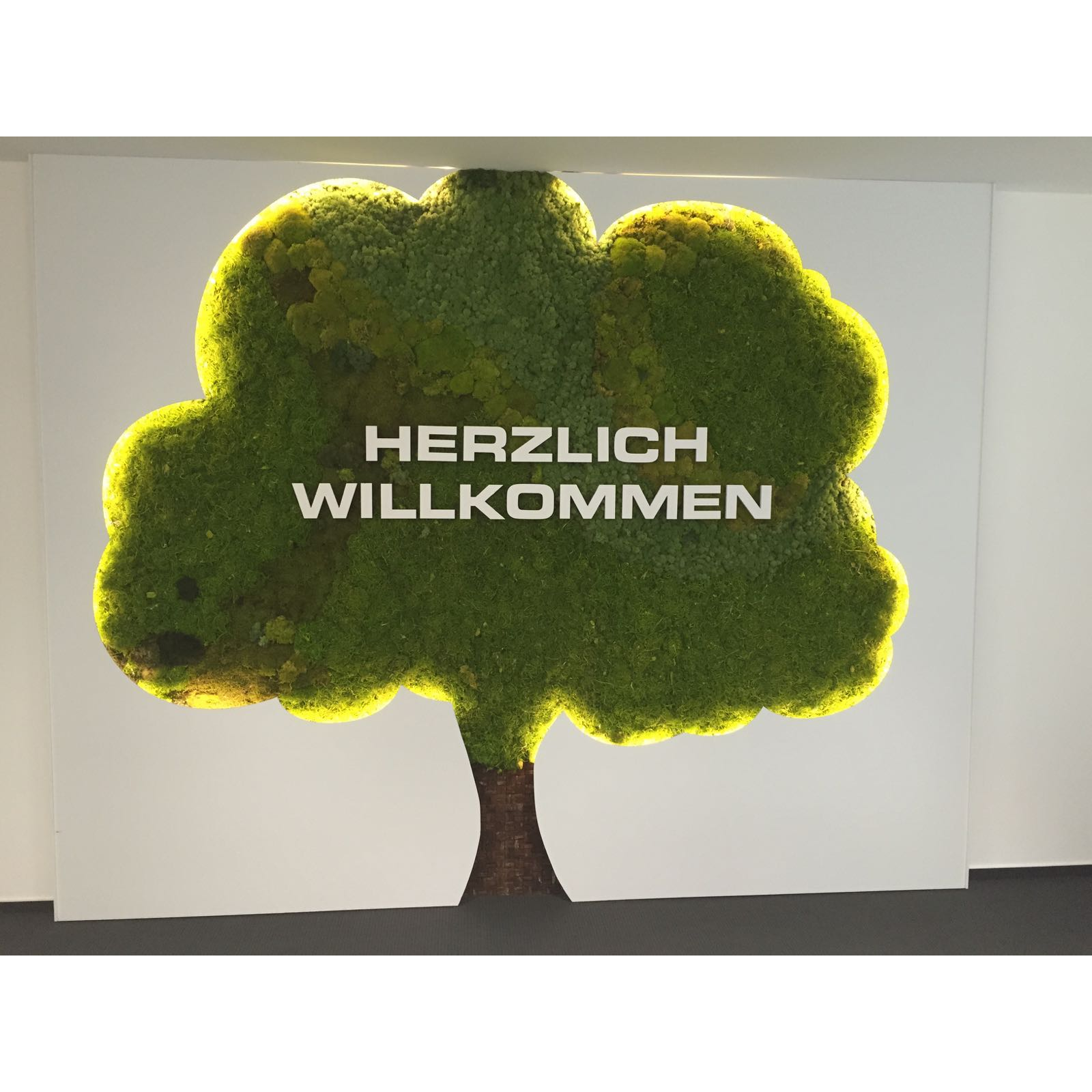 Franzen Moos Wanddesign - Nextdoor