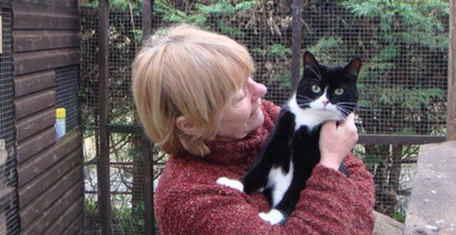 Fox House Luxury Boarding Cattery - Quatford - Nextdoor