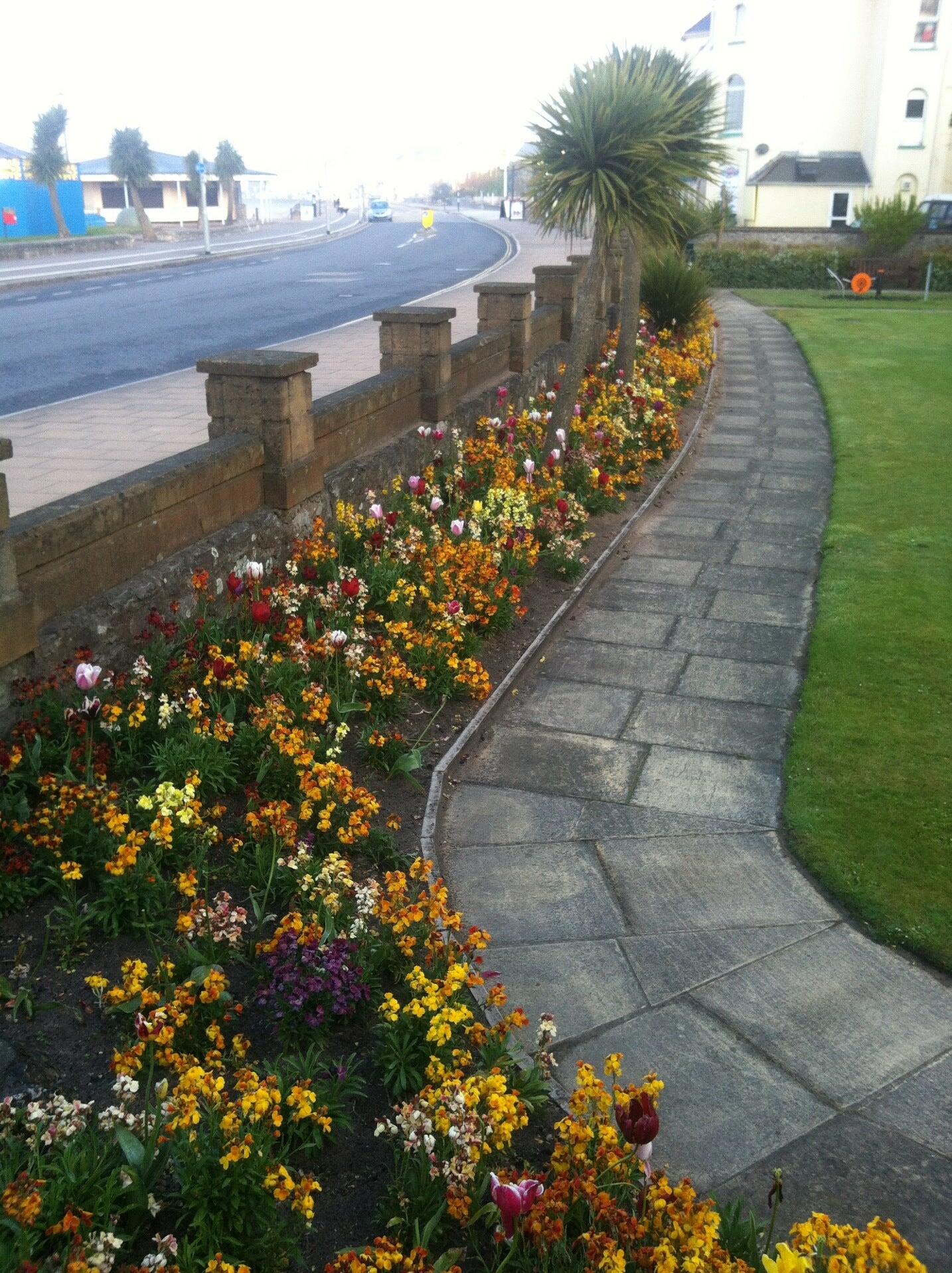 Exmouth Pavilion - Exmouth - Nextdoor