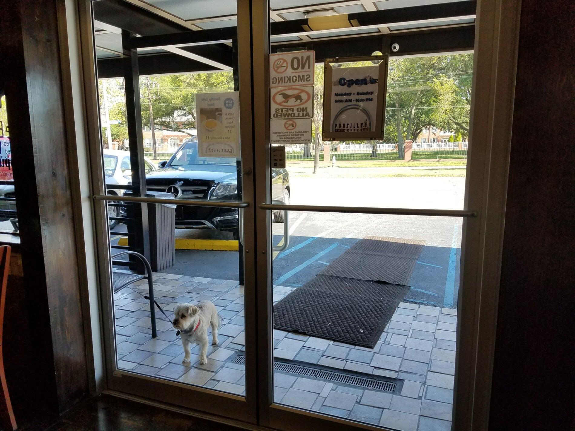 Pontilly Coffee - New Orleans, LA - Nextdoor