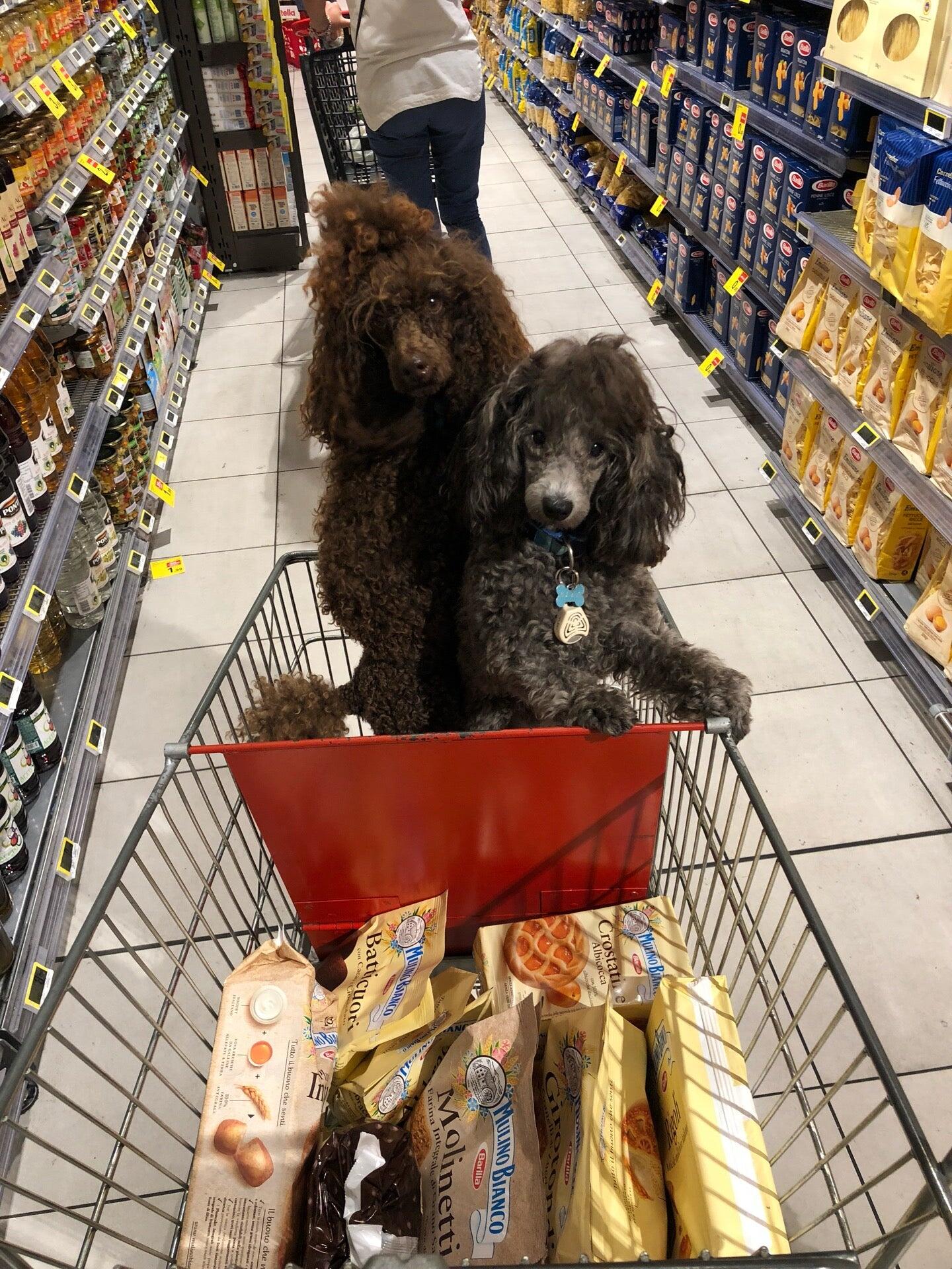 Carrefour - Nextdoor