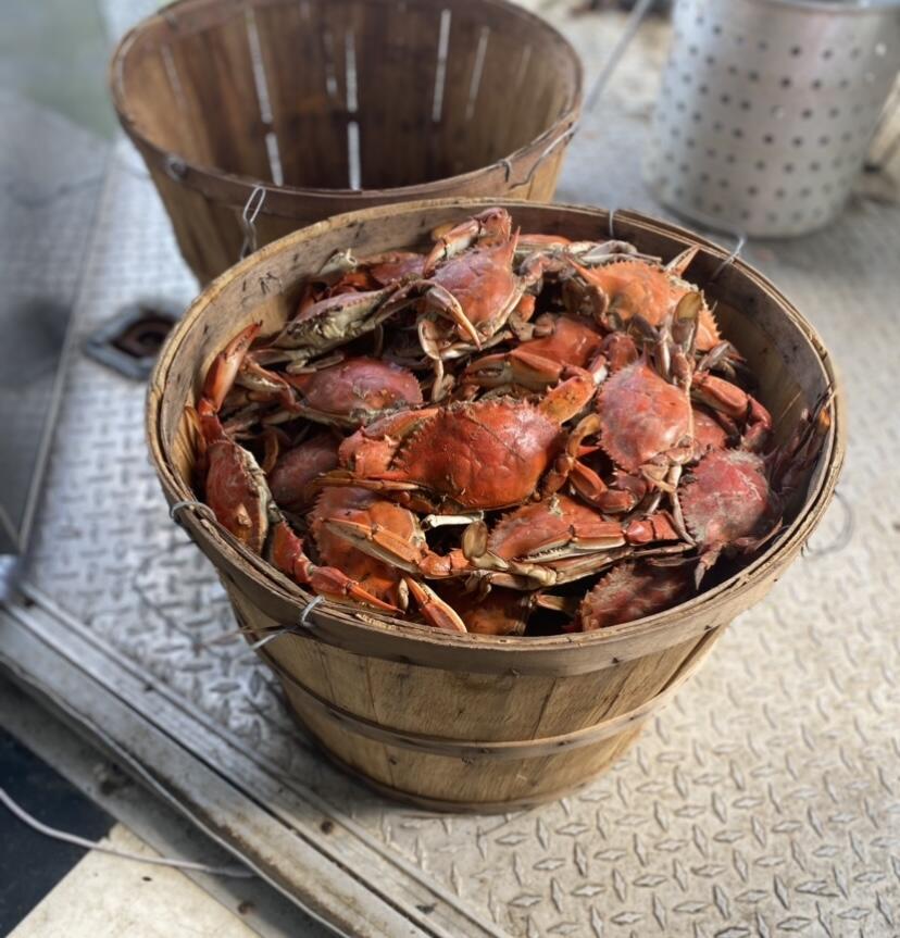 Jay and Ed's Seafood shack - Round Hill, VA - Nextdoor