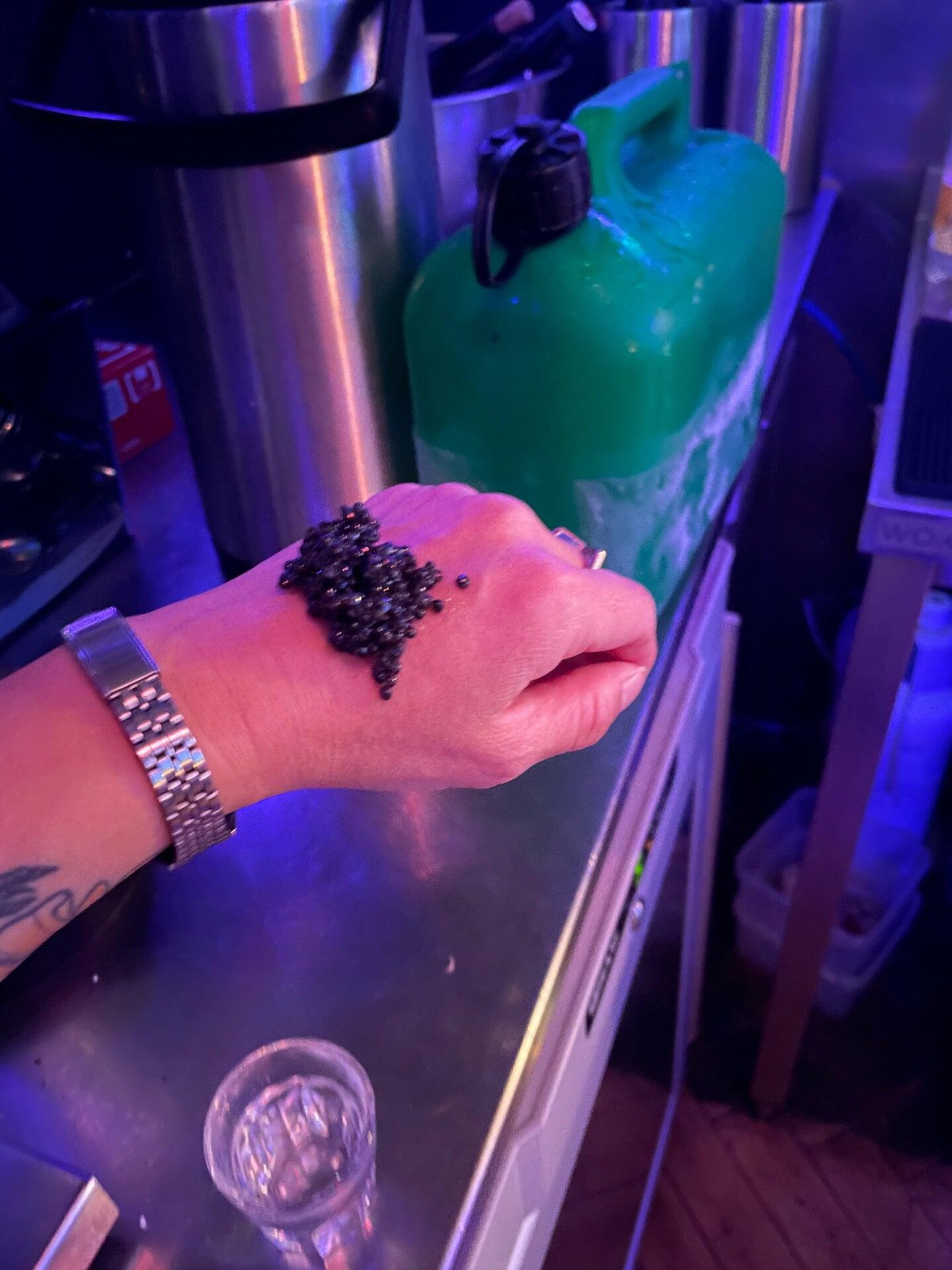 Punk Royale Copenhagen ApS - Nextdoor