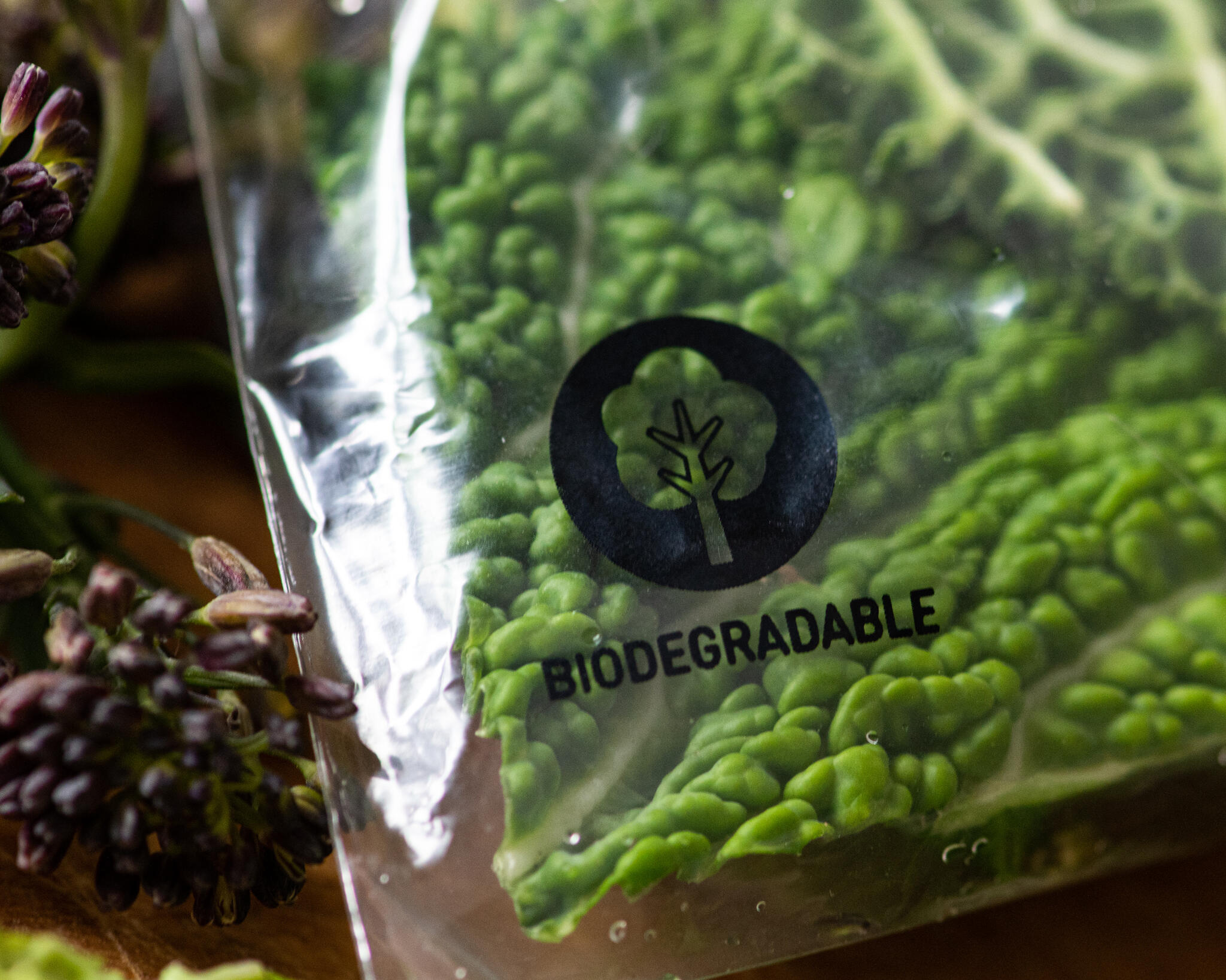 Danny Jack Dine In - Nextdoor