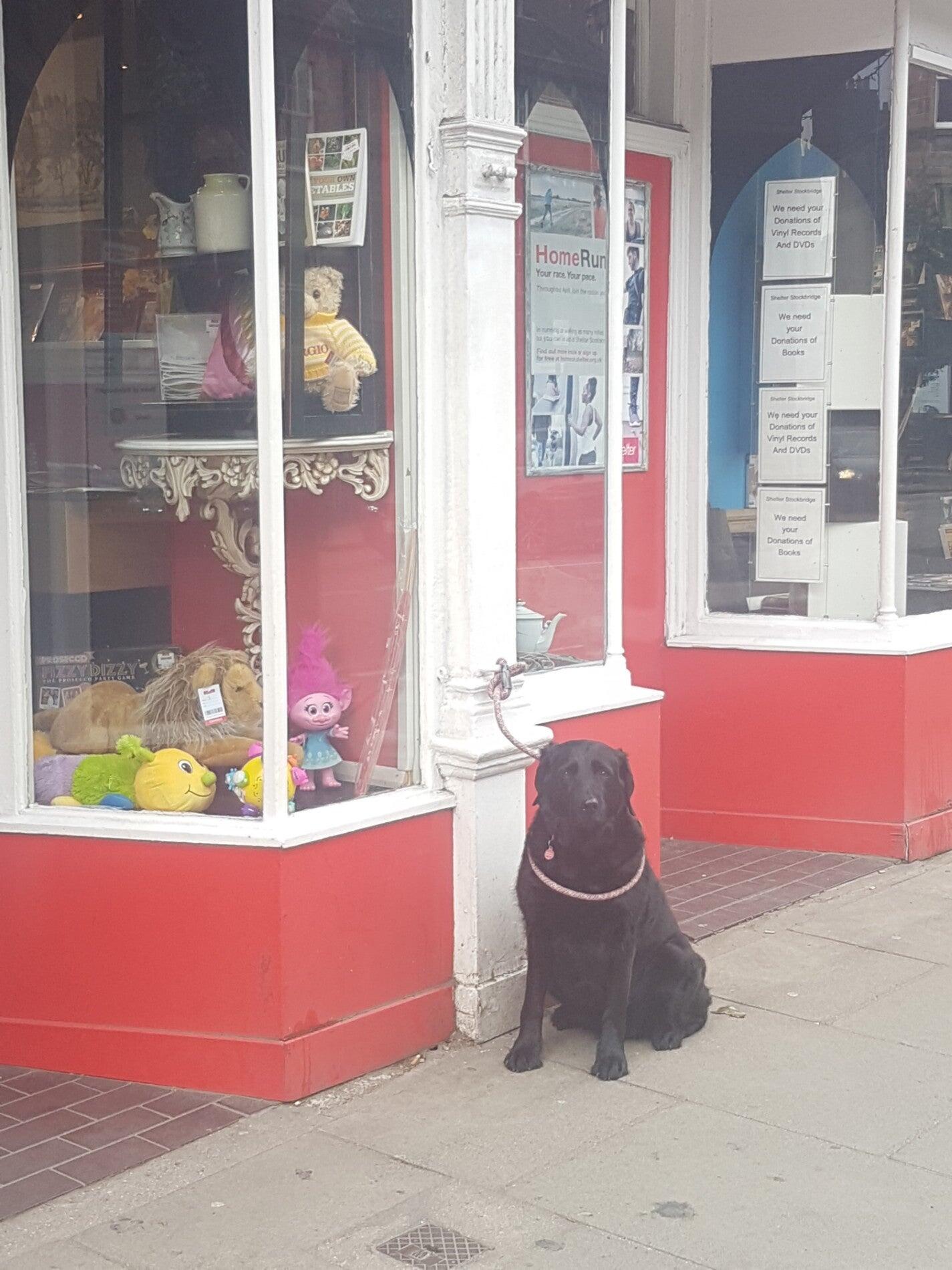 Shelter the National Campaign For Homeless People - Edinburgh, Scotland ...