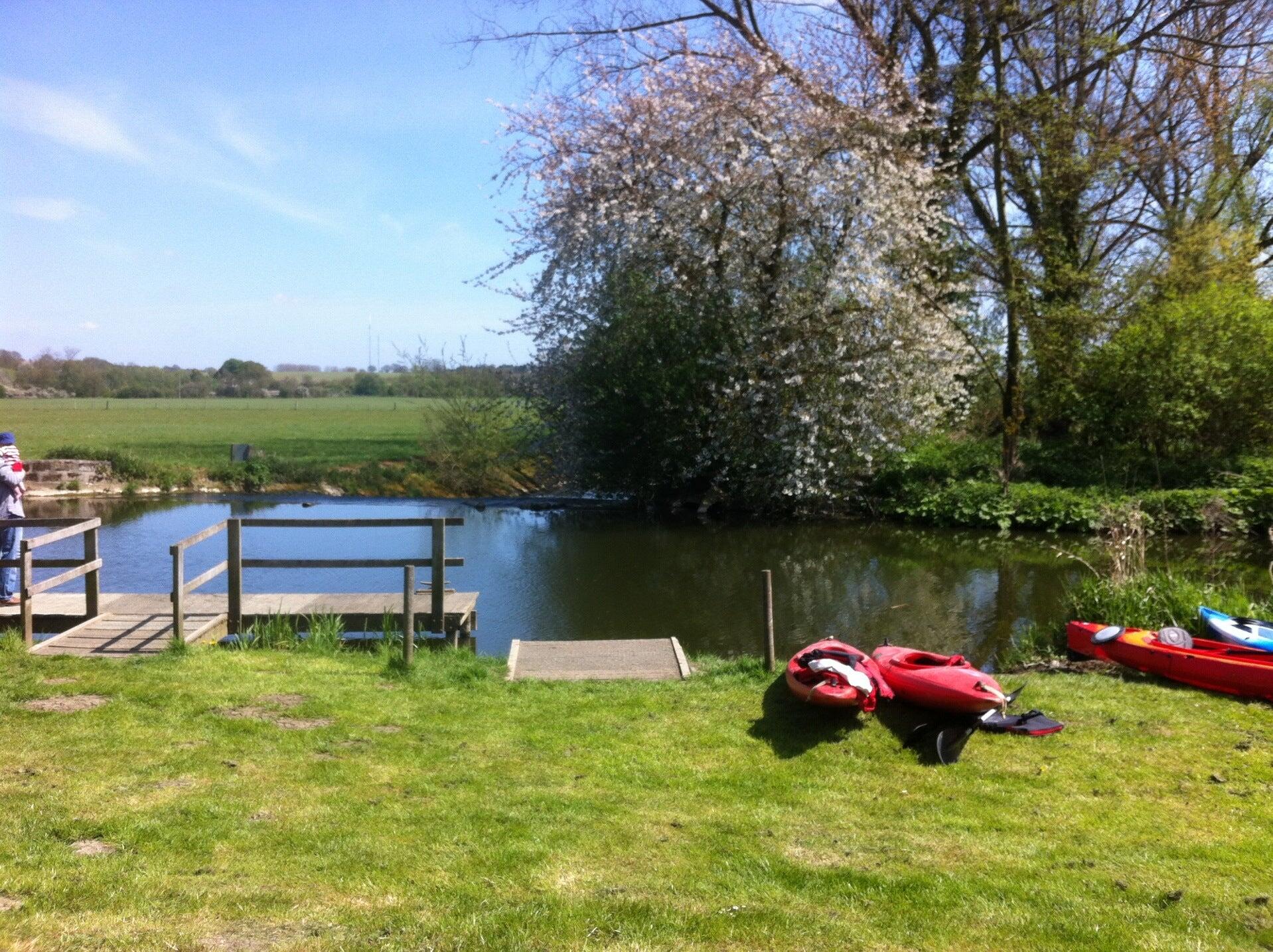 The Henny Swan - Great Henny - Nextdoor