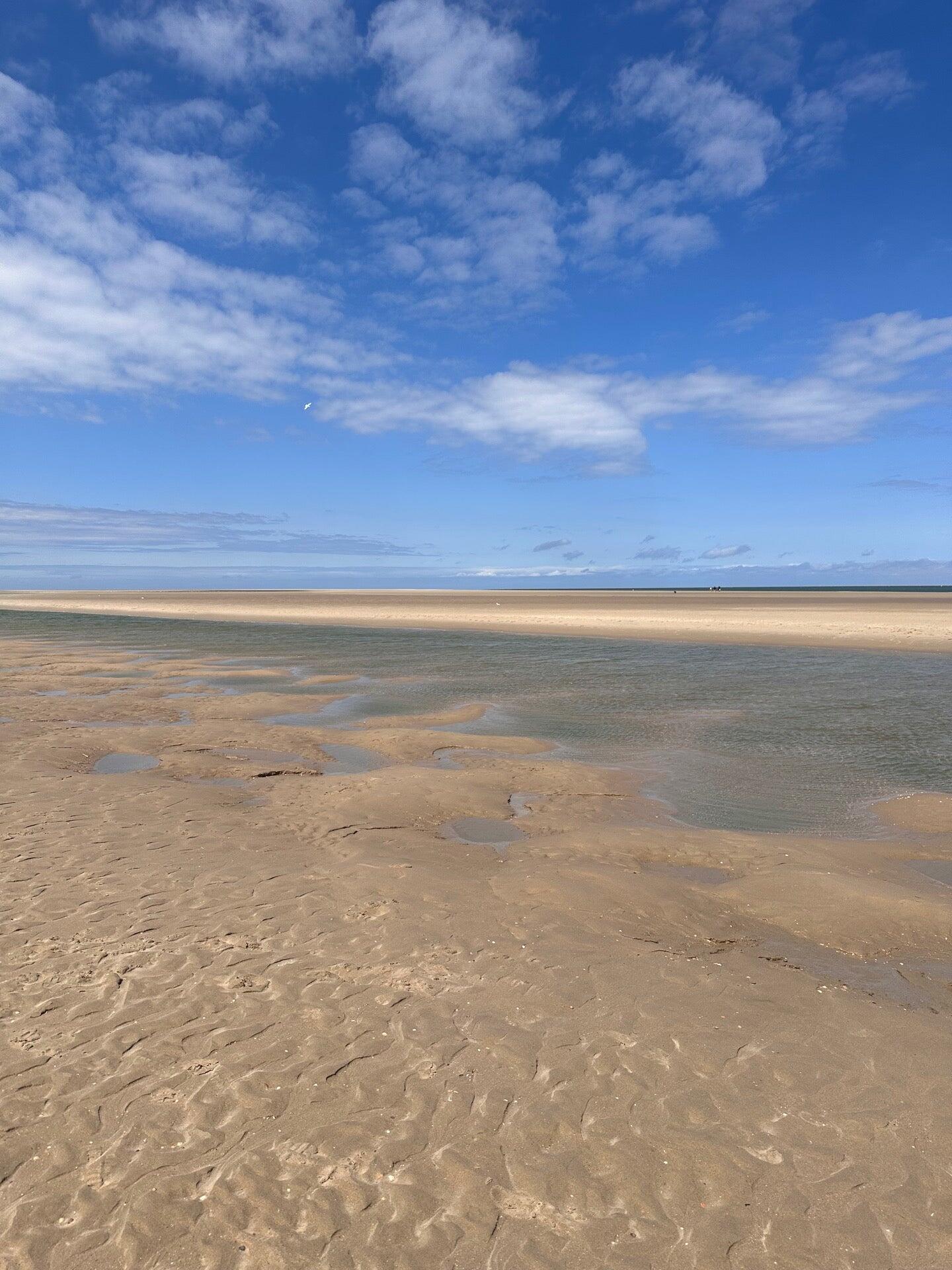 Strandpaviljoen Zuid-Zuid-West - Nextdoor