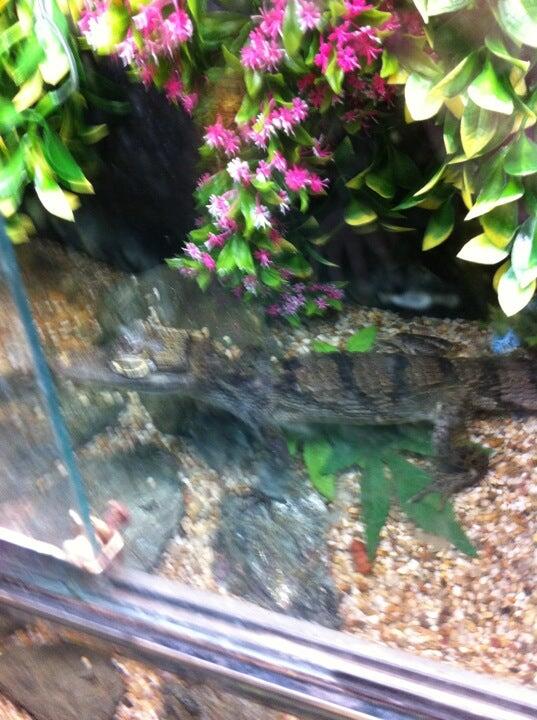 Manchester Pets & Aquatics - Manchester - Nextdoor