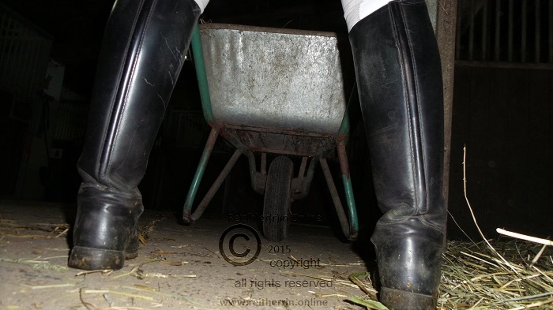 Reitherrin Reitstiefelservice Mistress Ridingboots - Nextdoor