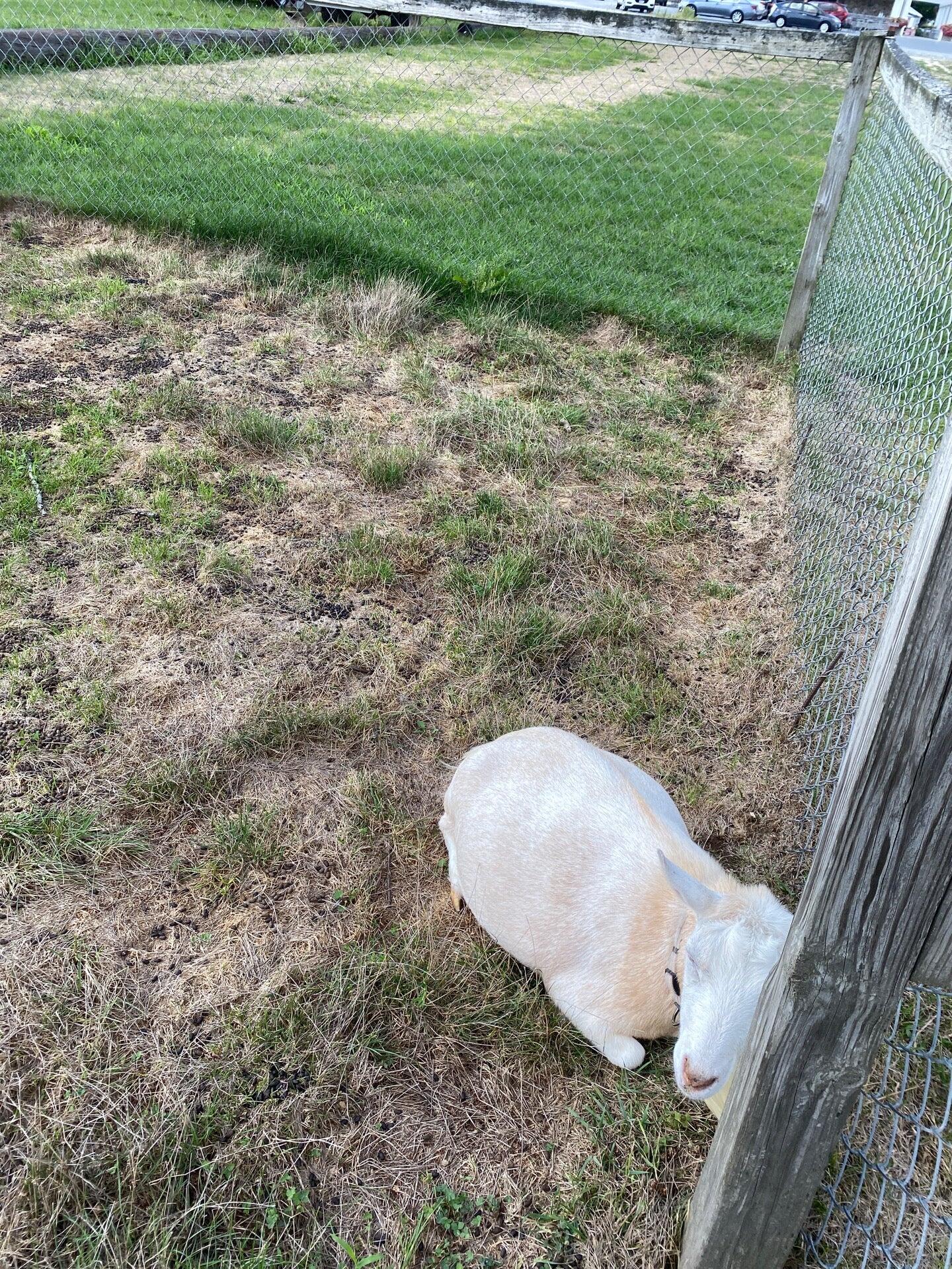 Four Town Farm - Seekonk, MA - Nextdoor