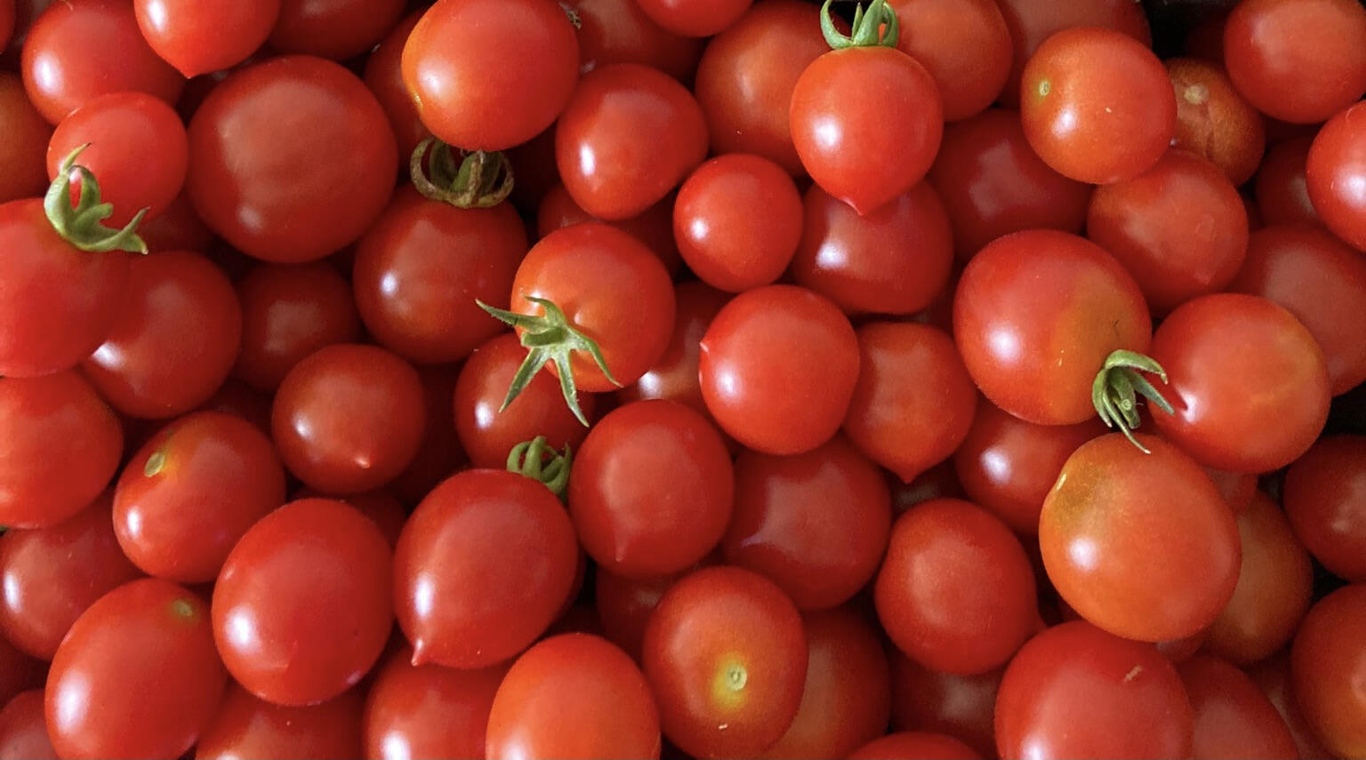 RealVeg Organic Veg Box - Eye, GB-ENG - Nextdoor