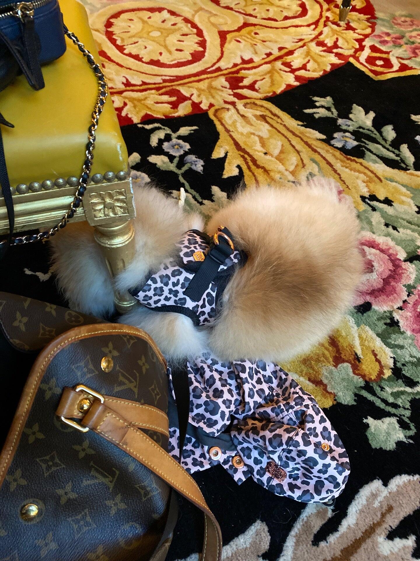 The Penthouse at Four Seasons Hôtel - Nextdoor