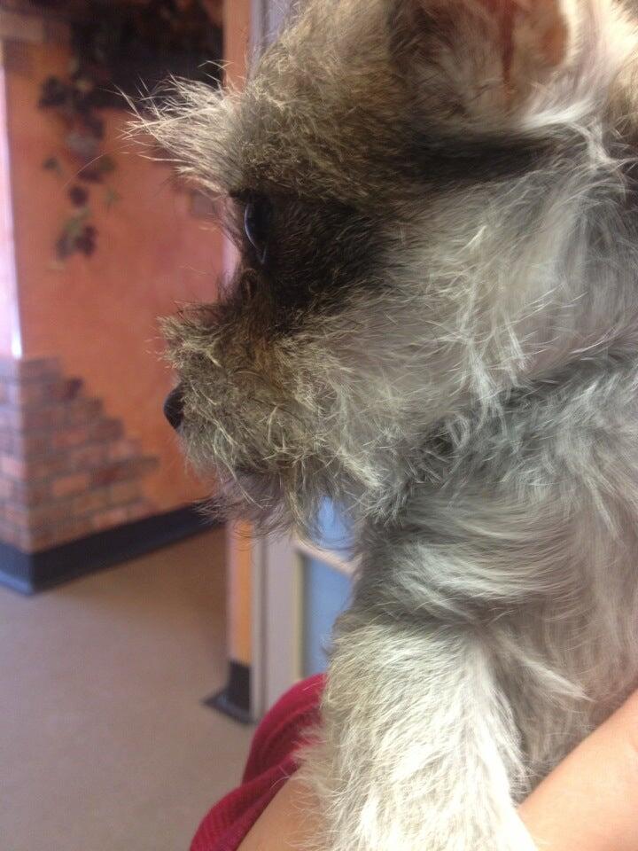 Layton Animal Hospital - Milwaukee, WI - Nextdoor