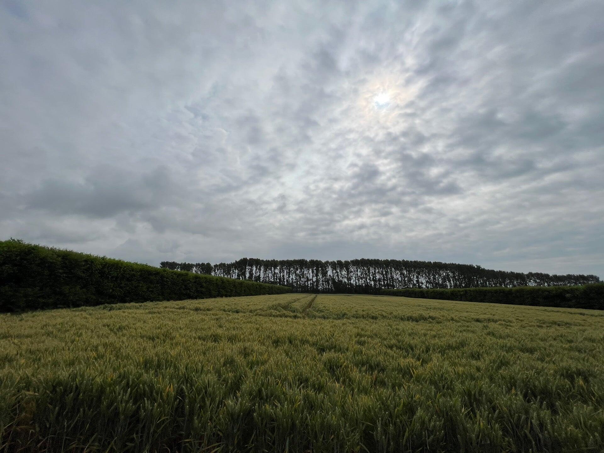 Roundstone Farm - Ferring - Nextdoor