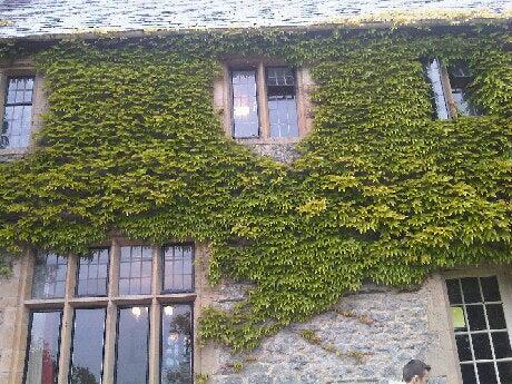 YHA Arnside - Arnside - Nextdoor