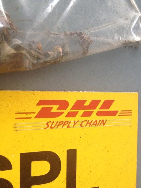 DHL Training Solutions - London - Nextdoor