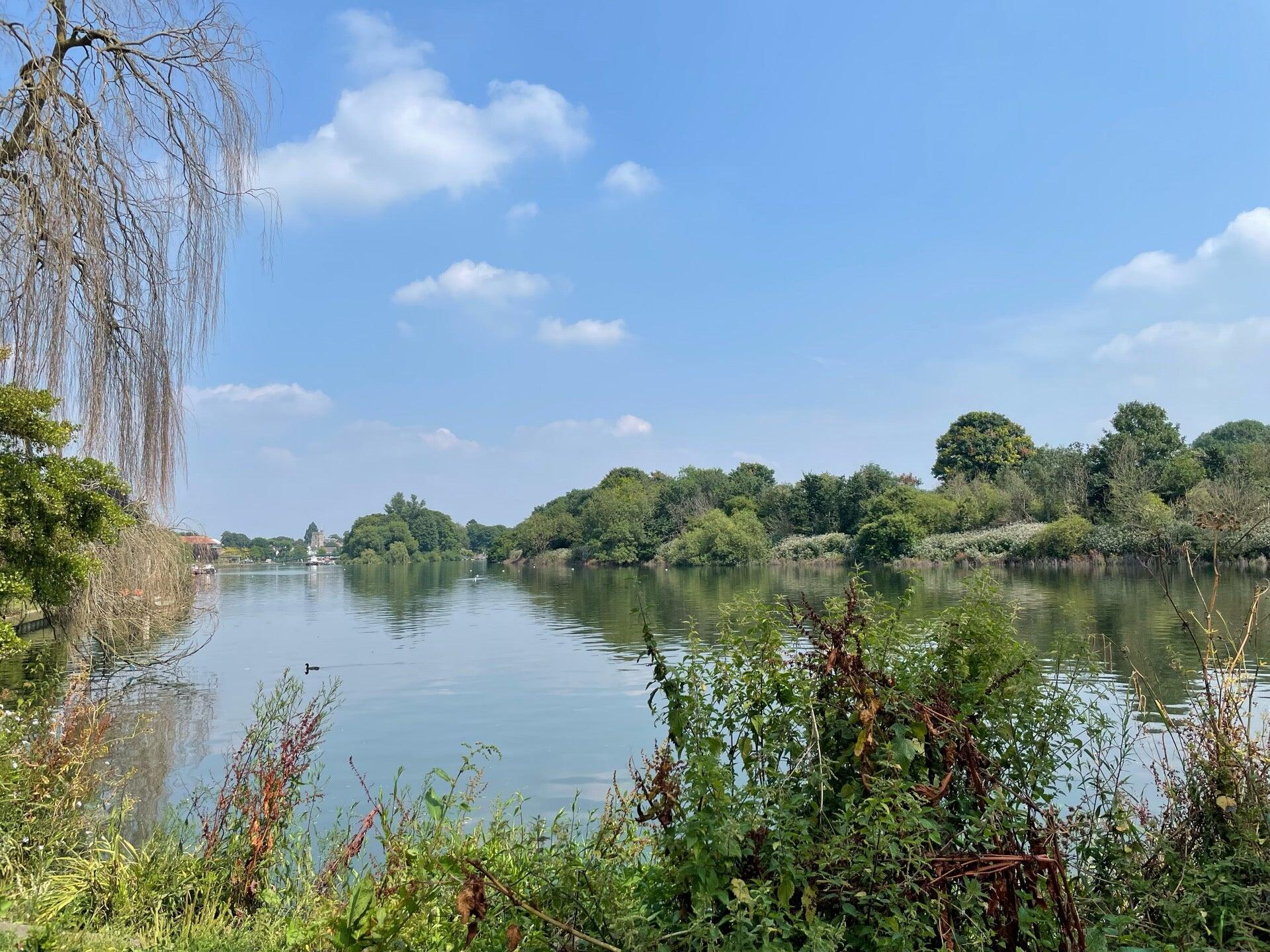 Radnor Gardens - Twickenham - Nextdoor