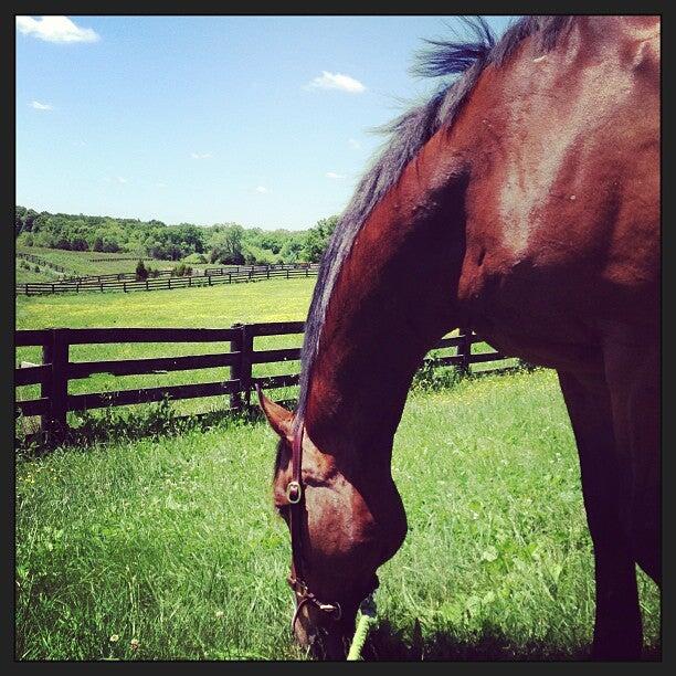 Carousel Farm - Louisville, KY - Nextdoor