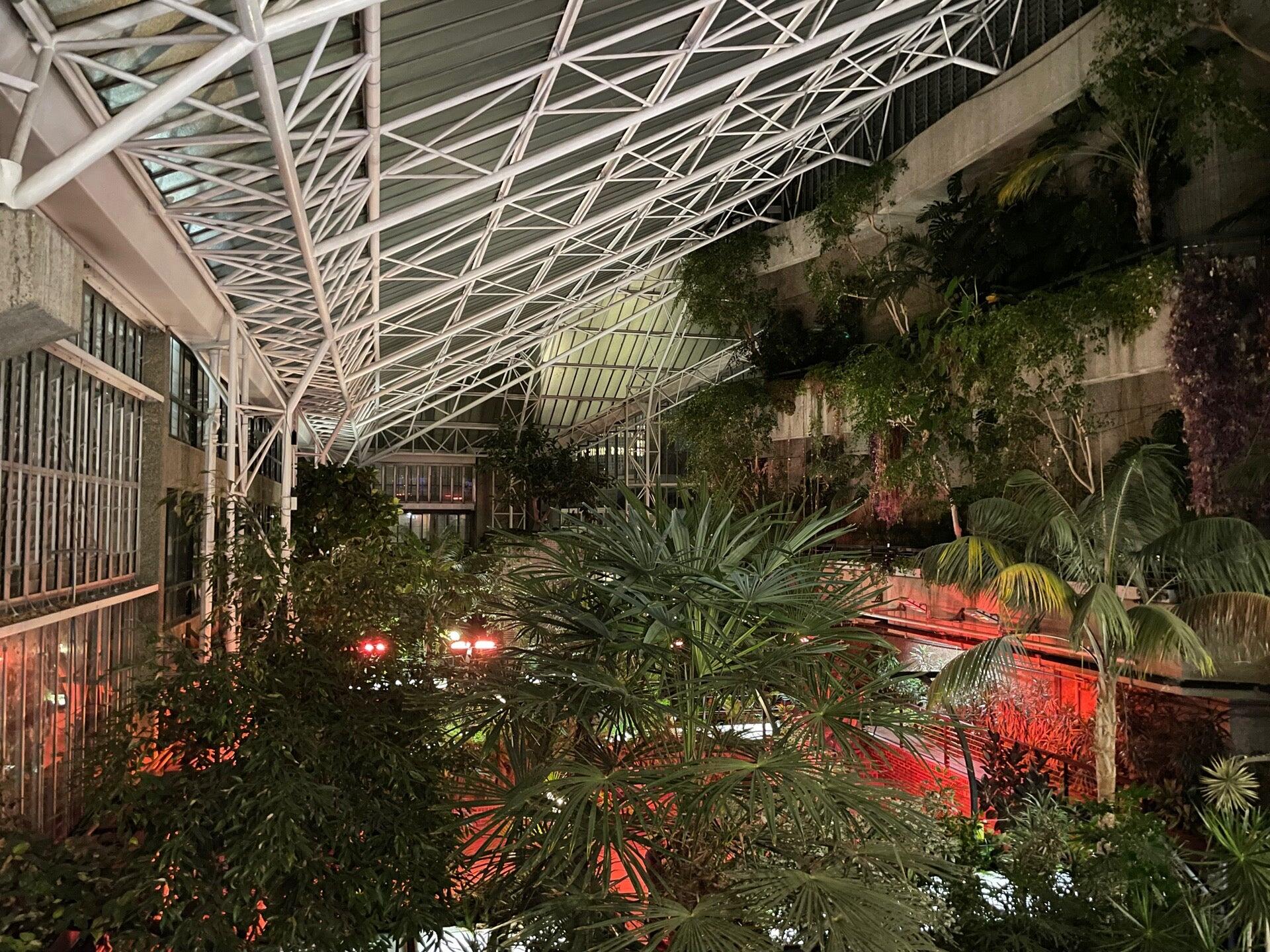 Barbican Conservatory - London - Nextdoor