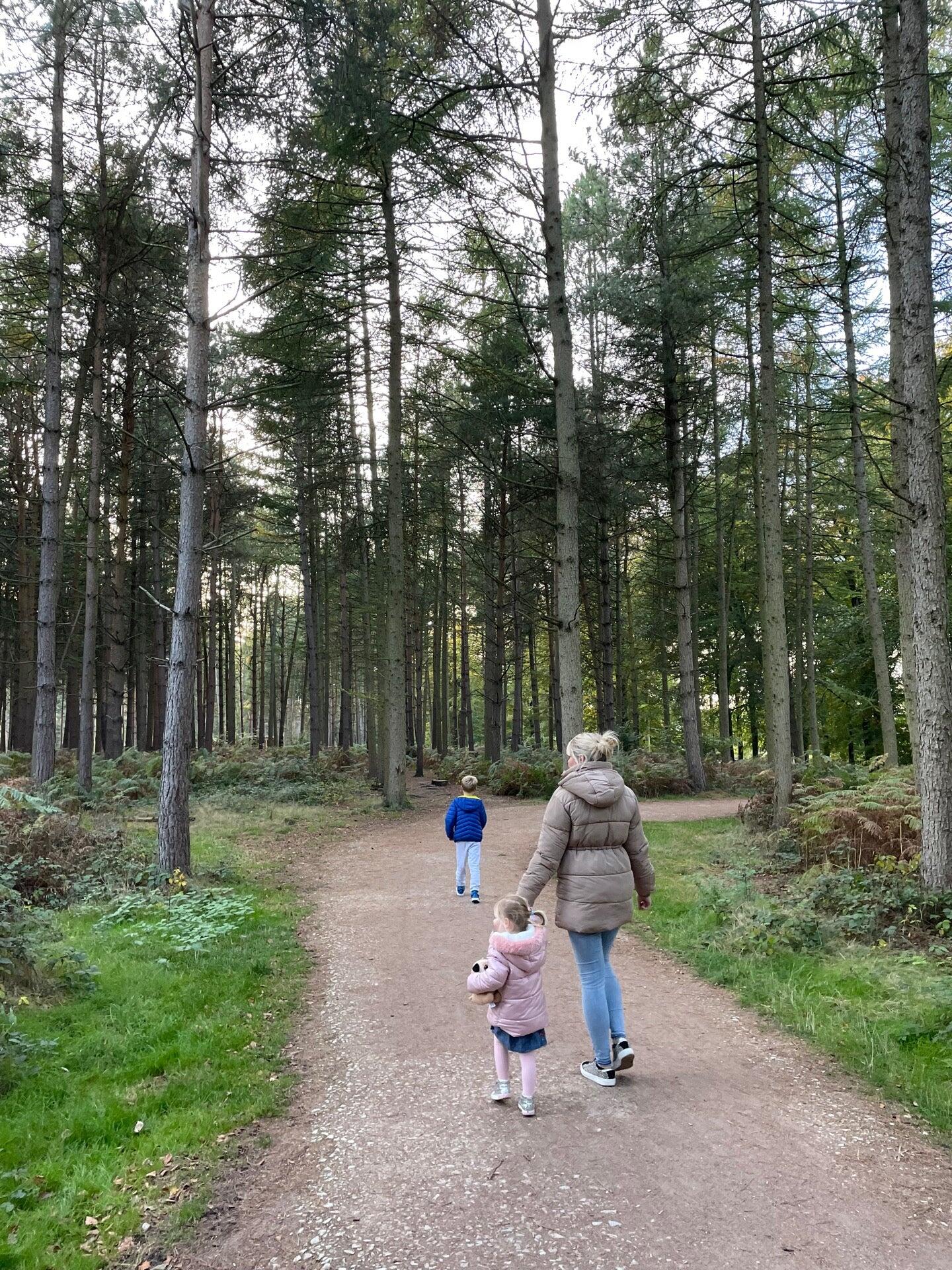 Cannock Chase Forest - Rugeley - Nextdoor
