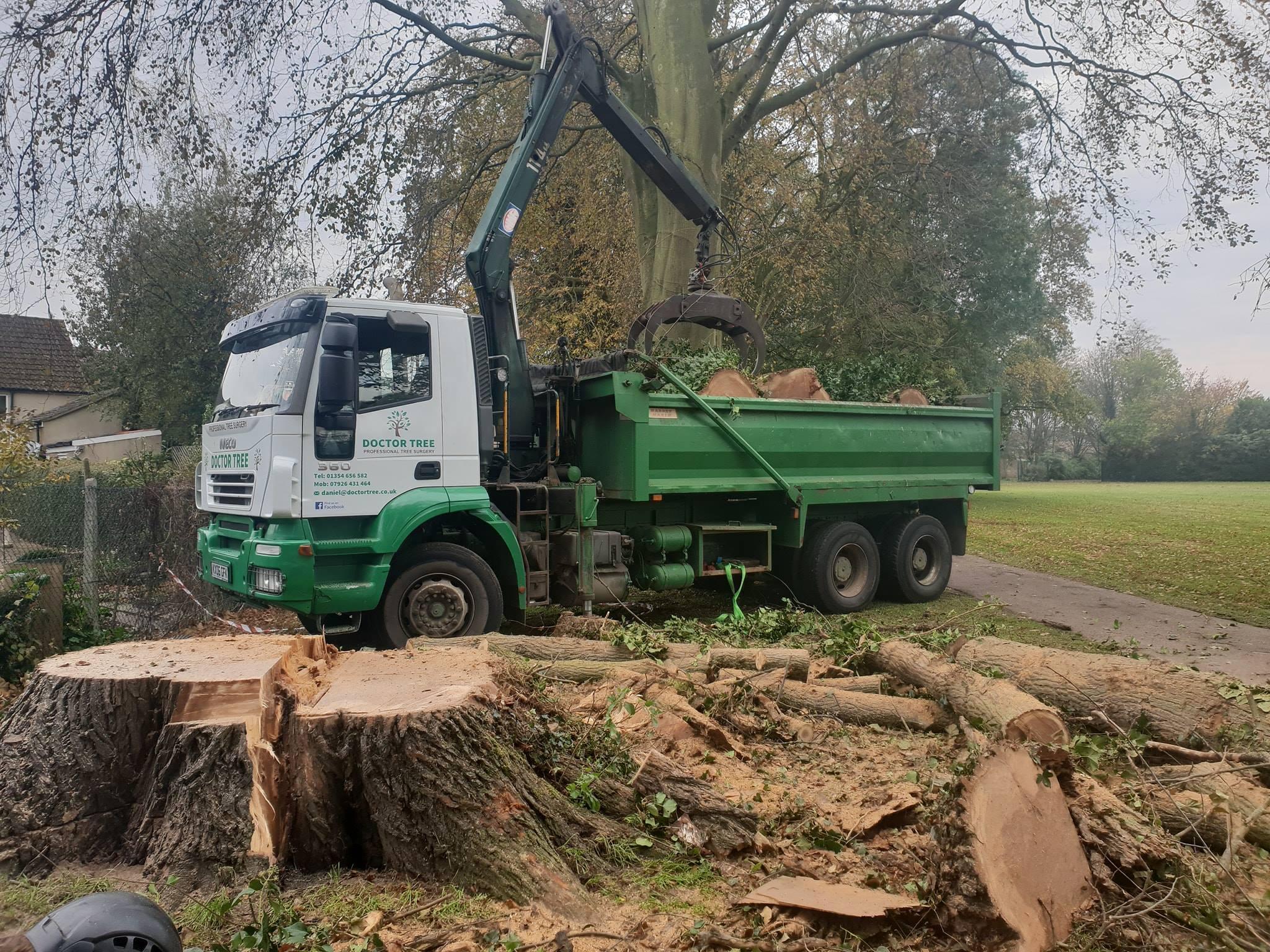 Doctor Tree - March - Nextdoor