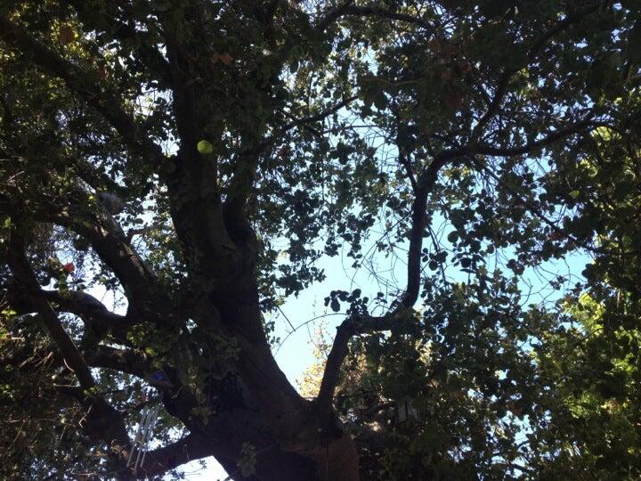 Green Man Lodge - Altadena, CA - Nextdoor