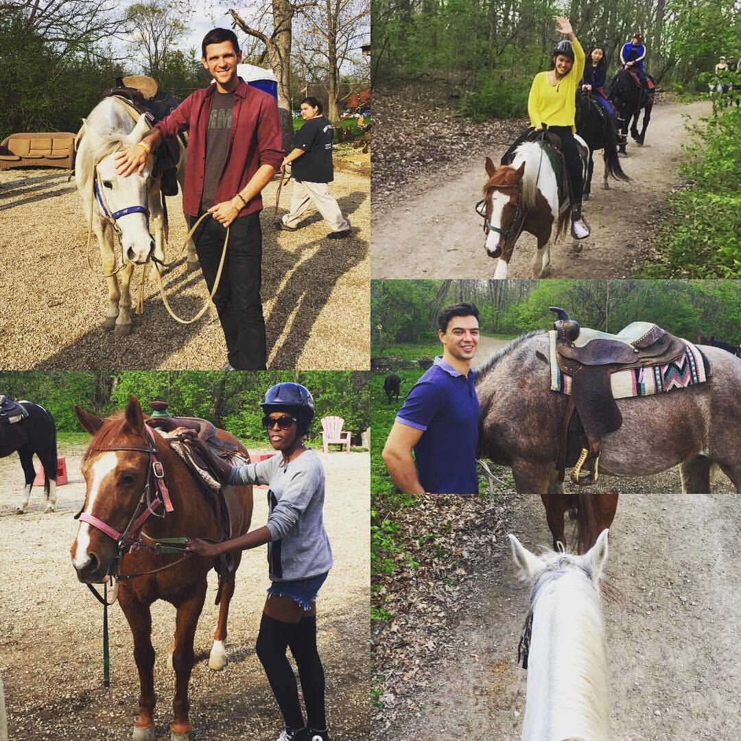 Memory Lane Stables - Willow Springs, IL - Nextdoor