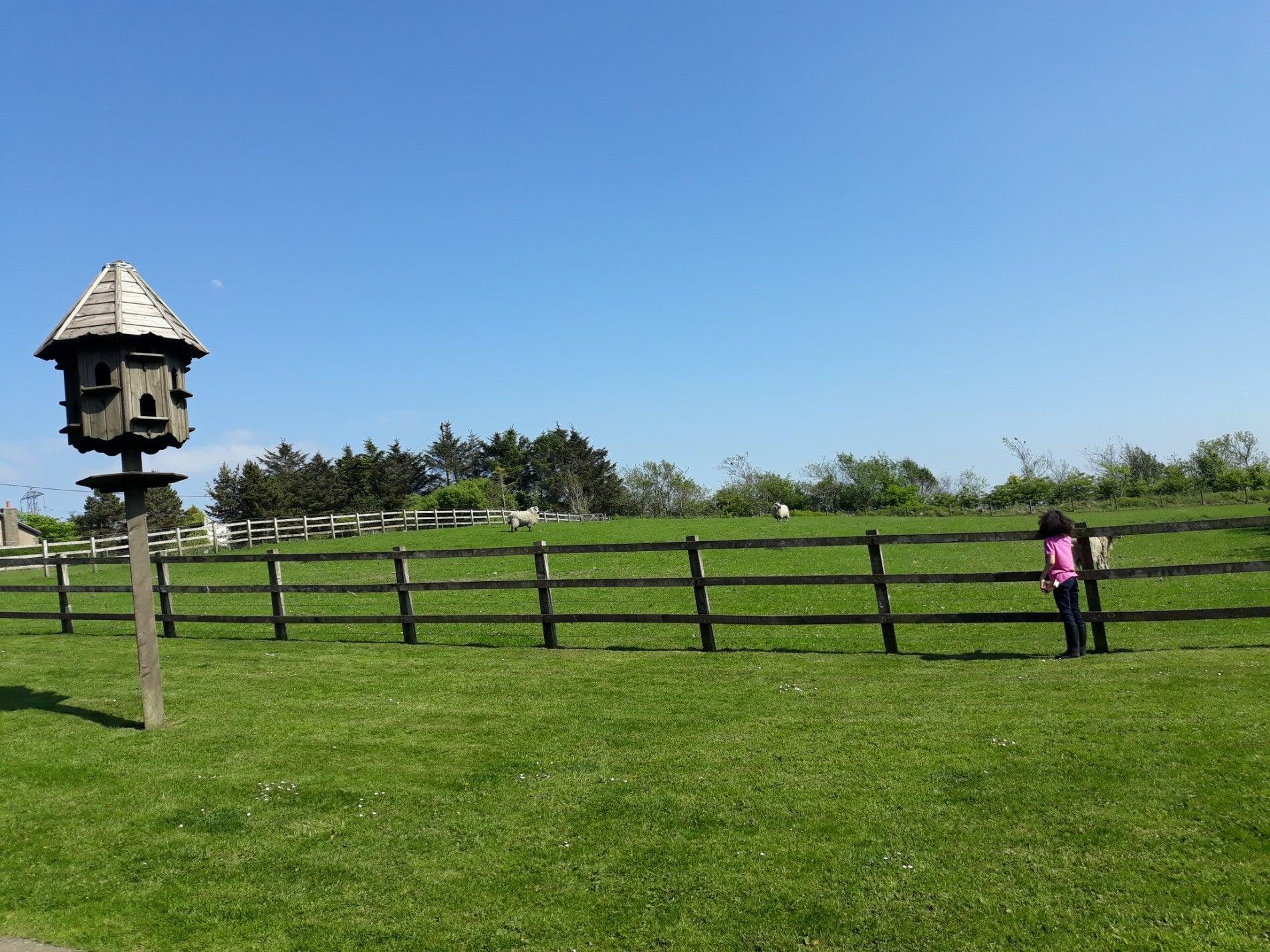 Moorview Equestrian Centre - Hoddlesden - Nextdoor