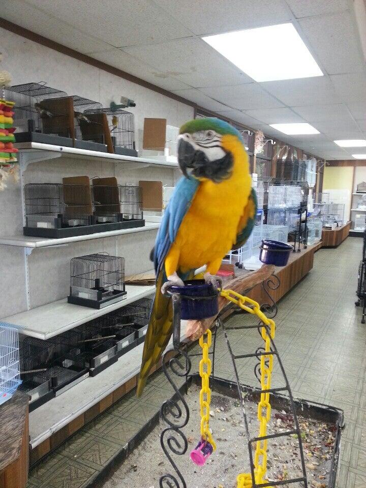 Magnolia Bird Farm - Nextdoor