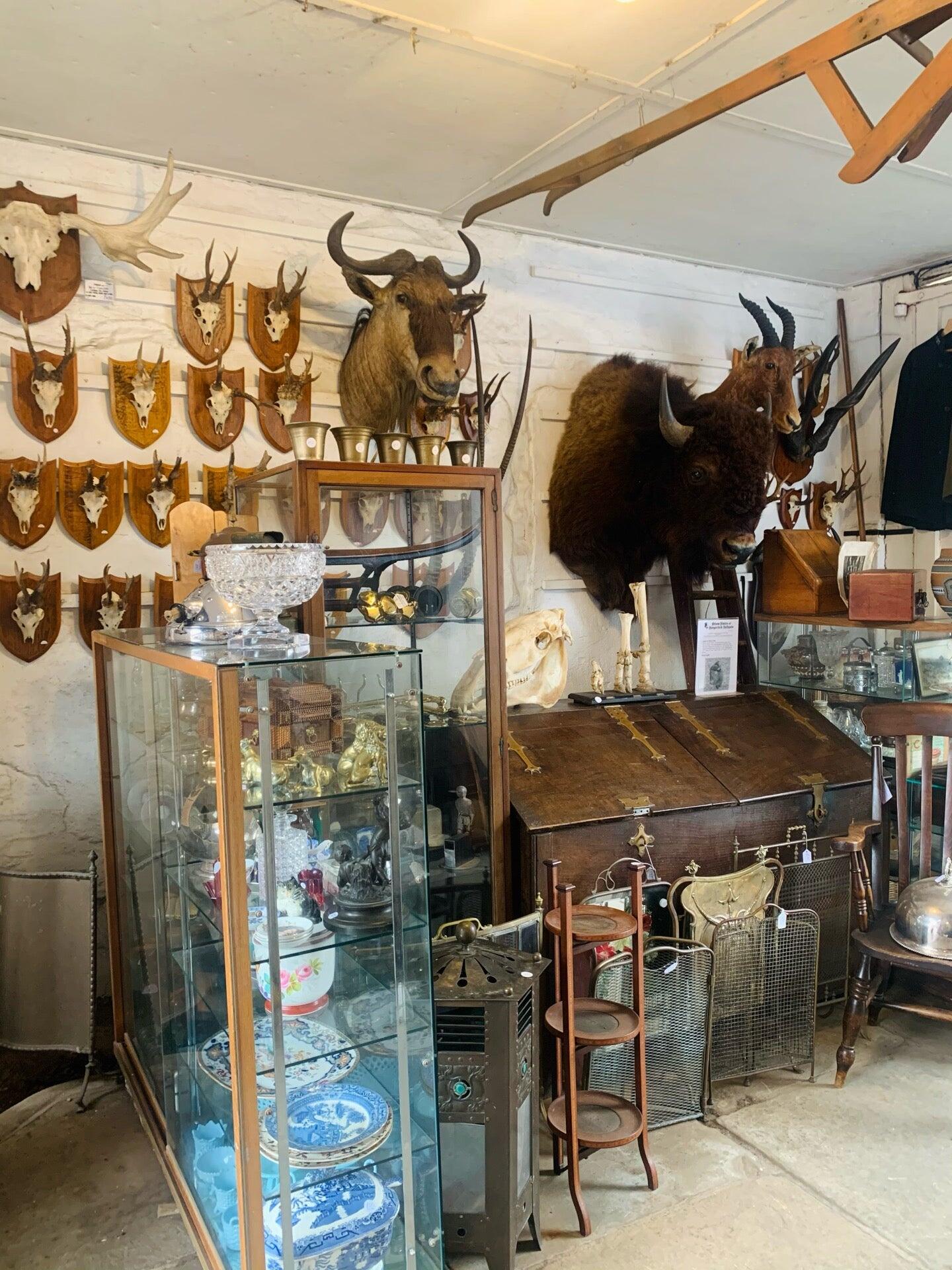 Below Stairs - Hungerford - Nextdoor