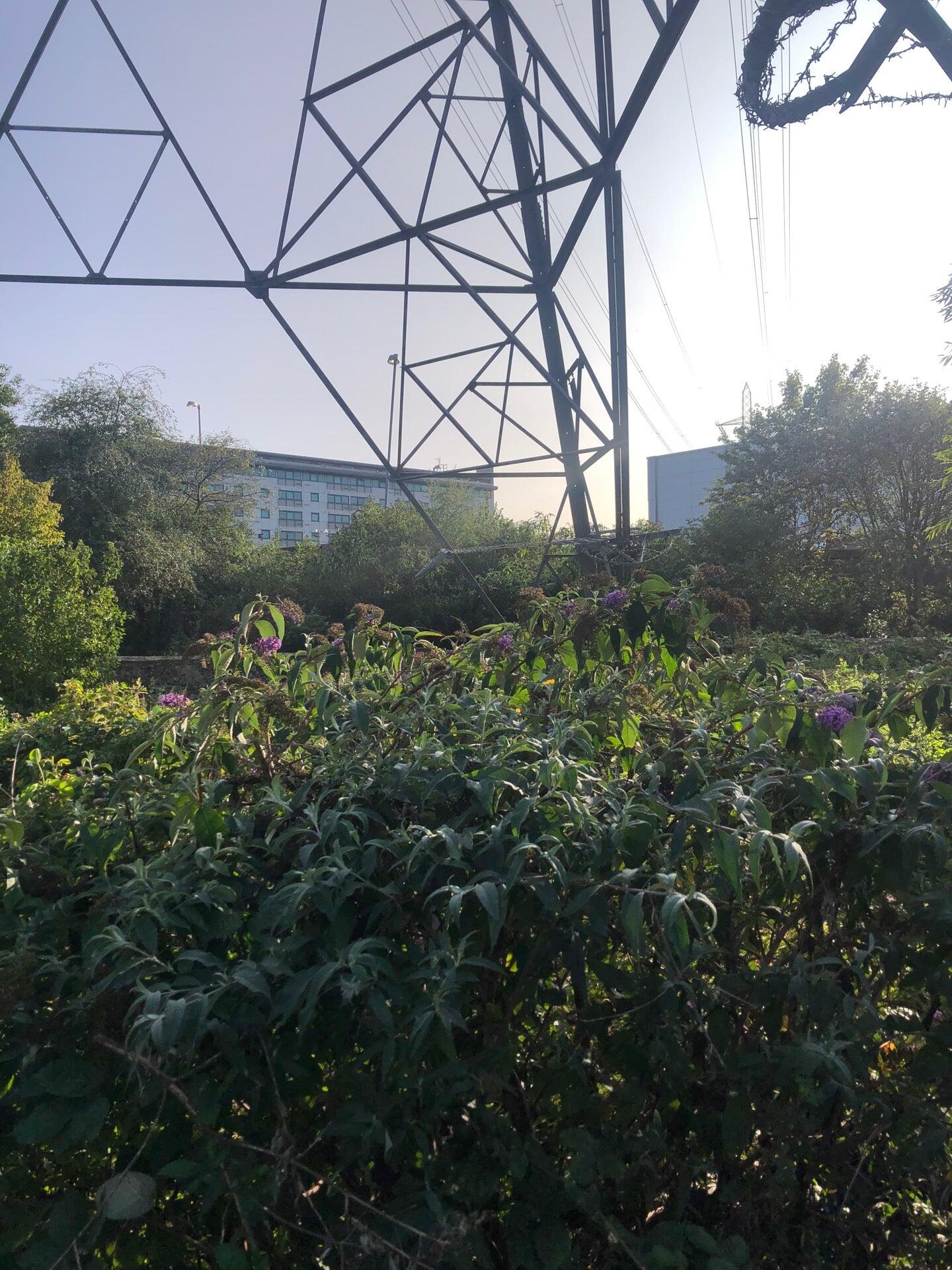 Priory Retail Park - London - Nextdoor