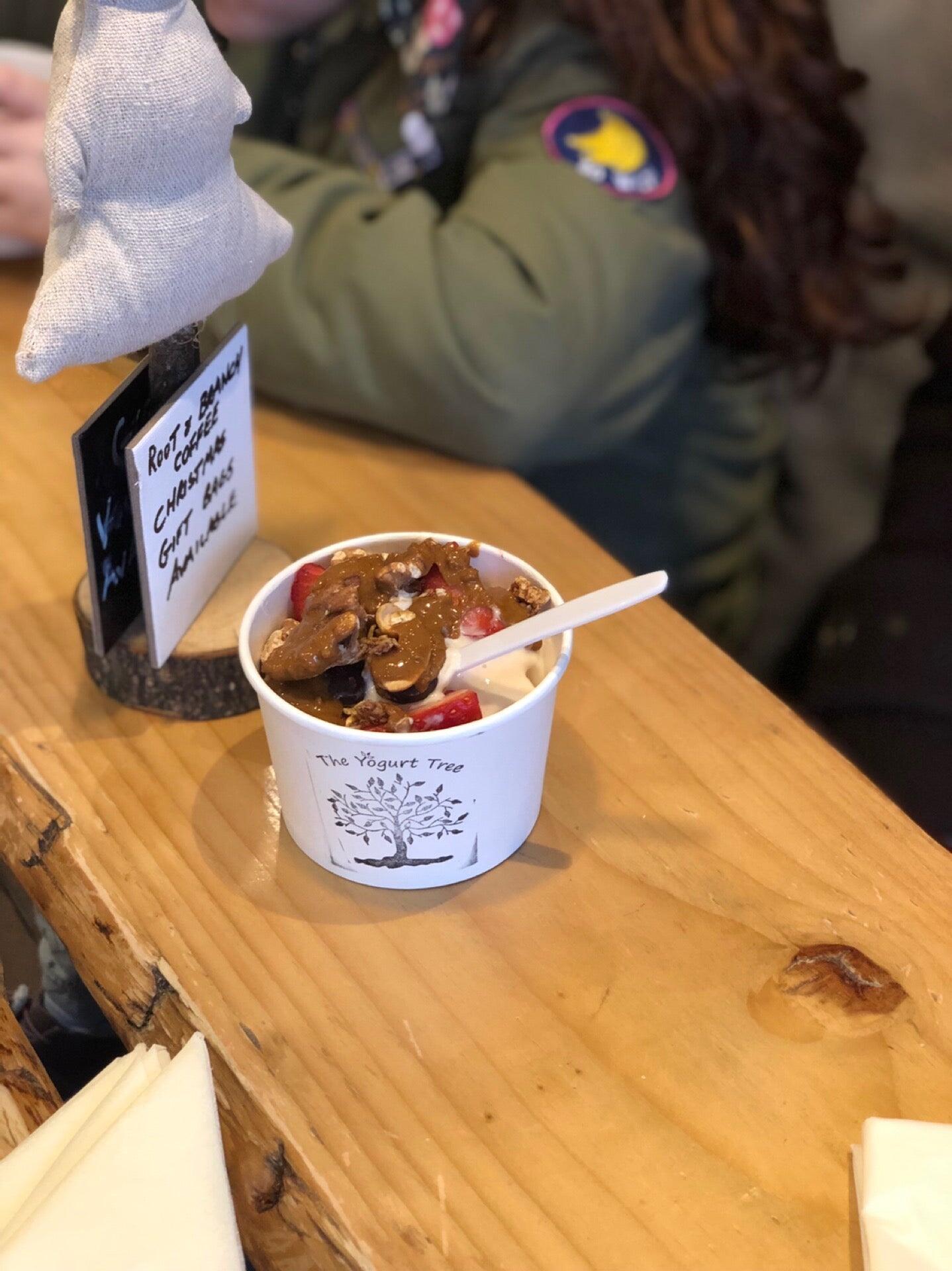 The Yogurt Tree - Bangor - Nextdoor