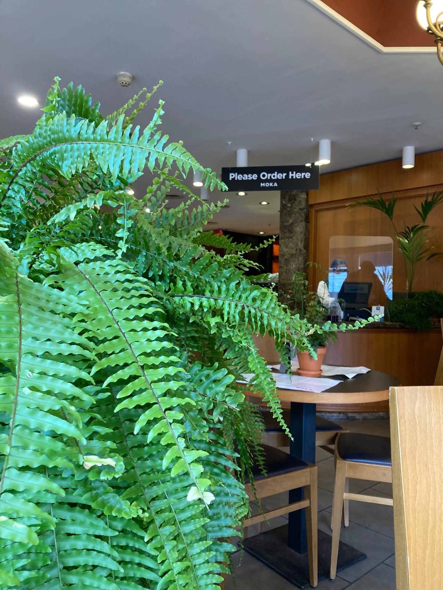 Moka - Epsom - Nextdoor