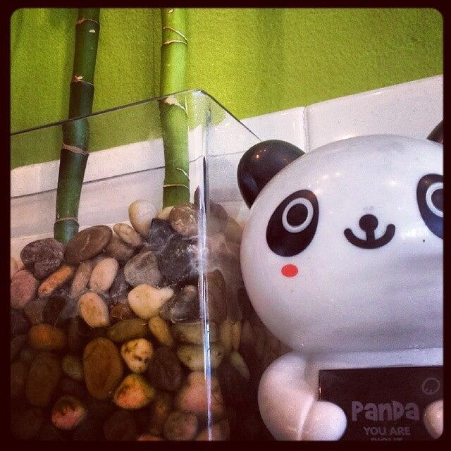 Little Panda - Elgin, IL - Nextdoor