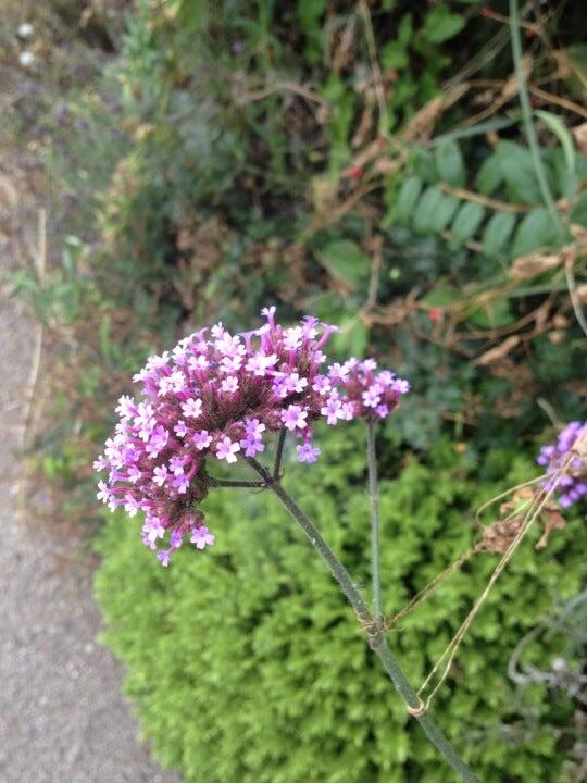 Diss Railway Station - Diss - Nextdoor