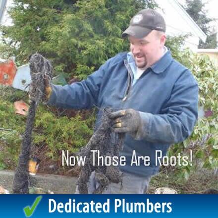 Gene Johnson Plumbing - Seattle, WA - Nextdoor