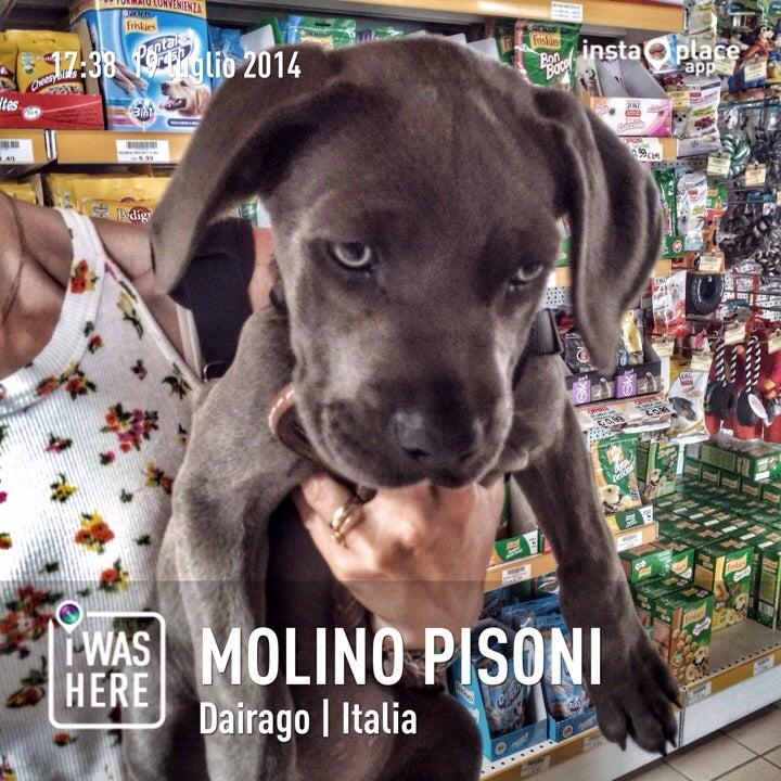 Molino Pisoni - Nextdoor