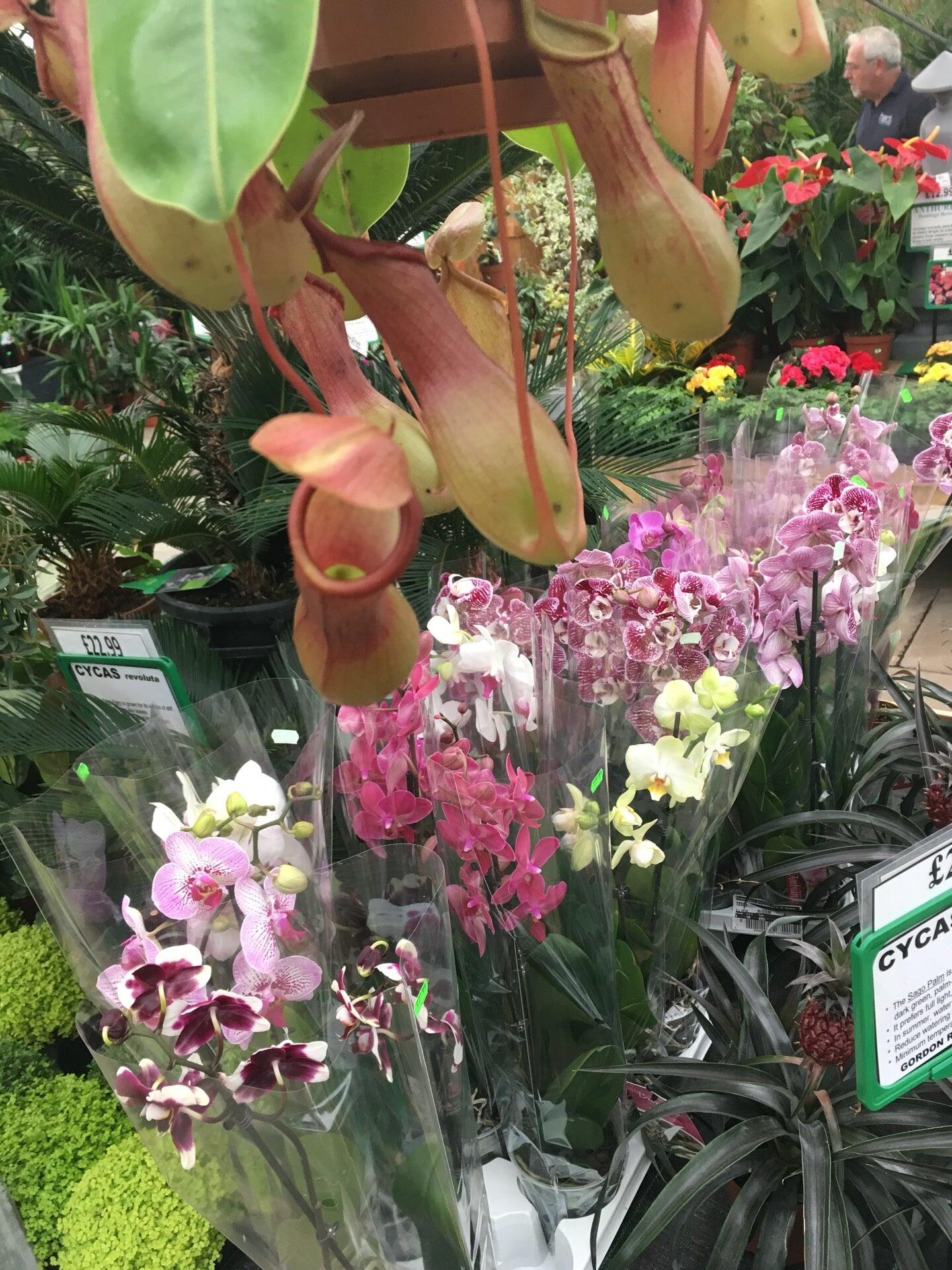 Gordon Rigg Garden Centre - Todmorden - Nextdoor