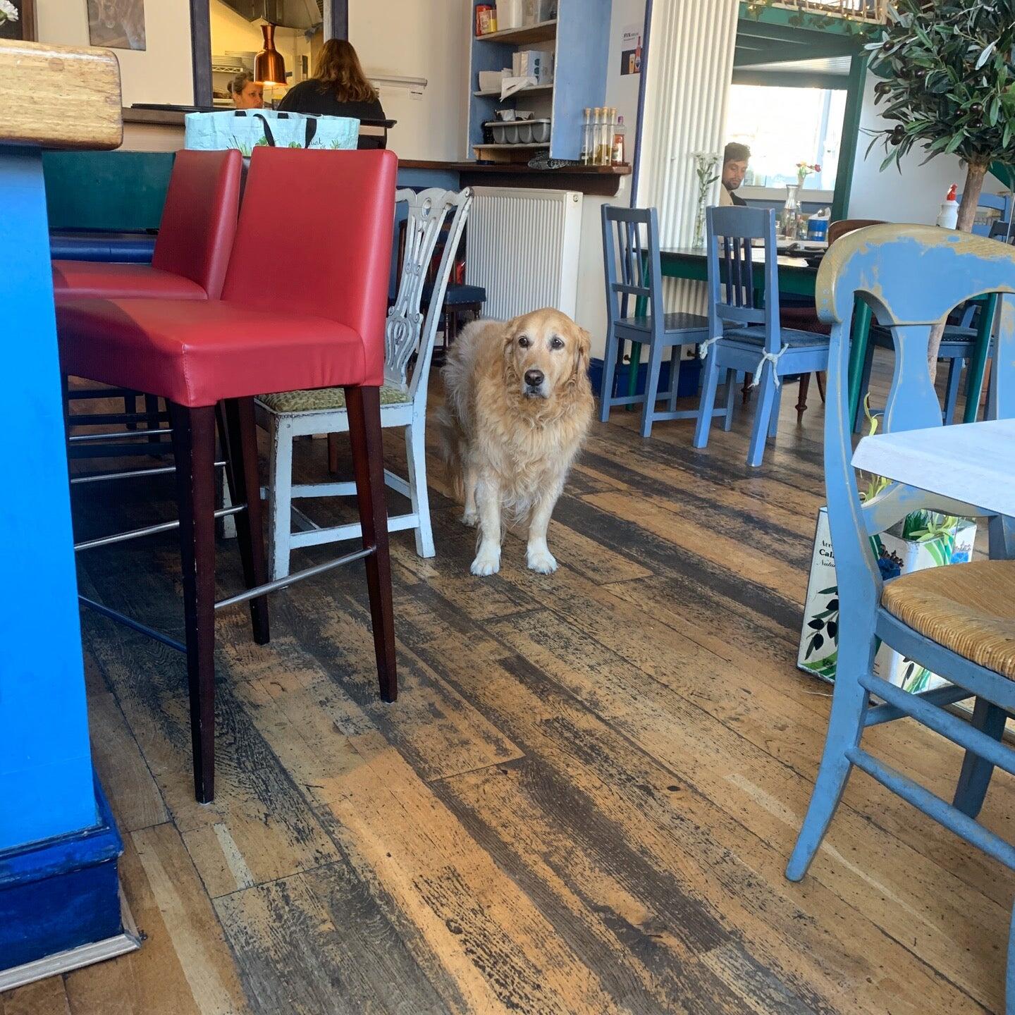 Spitaki - Edinburgh - Nextdoor