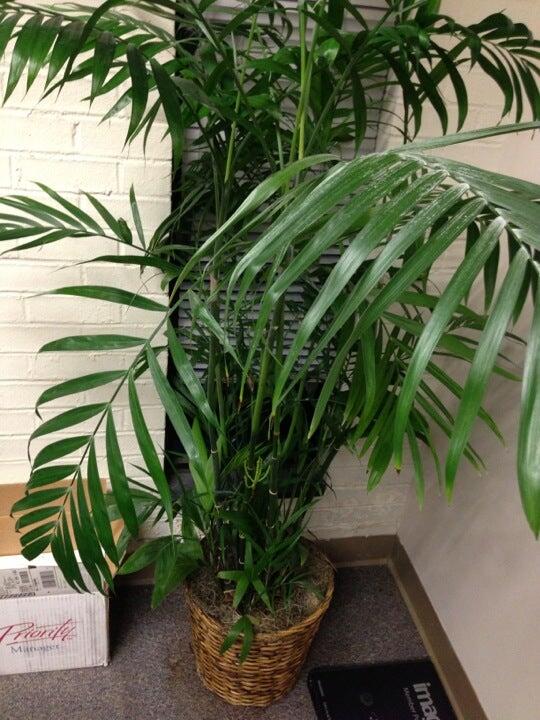 WPDE ABC15 News - Conway, SC - Nextdoor