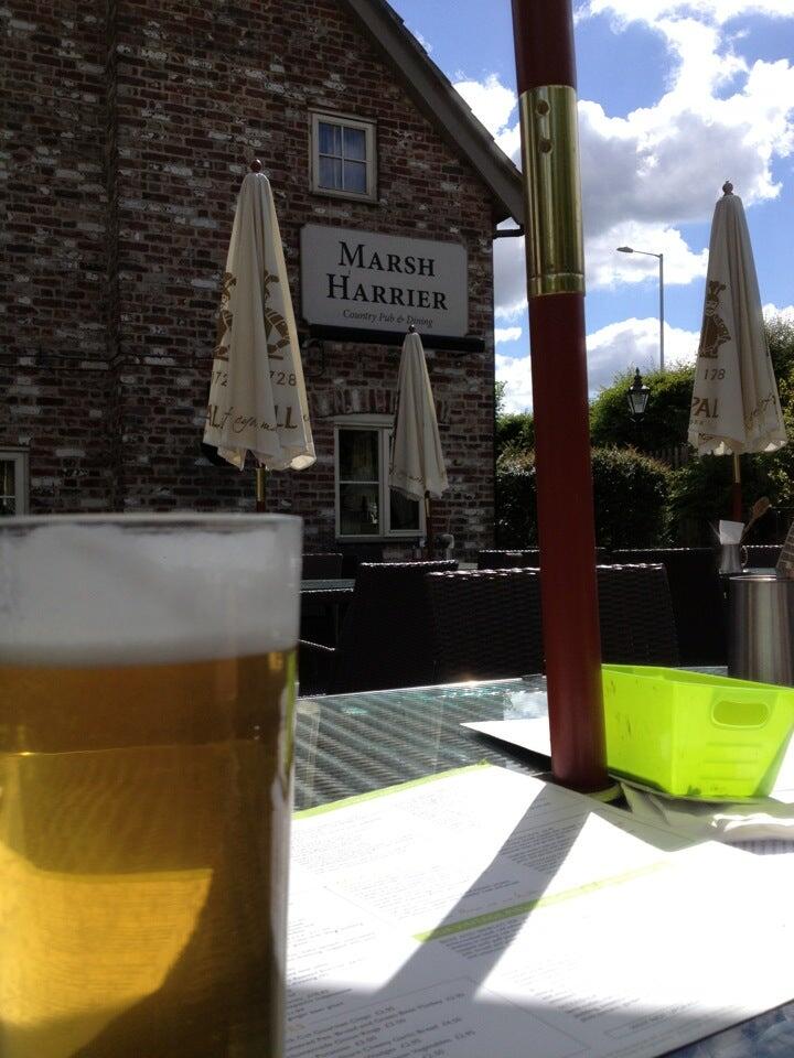 The Marsh Harrier - Norwich - Nextdoor