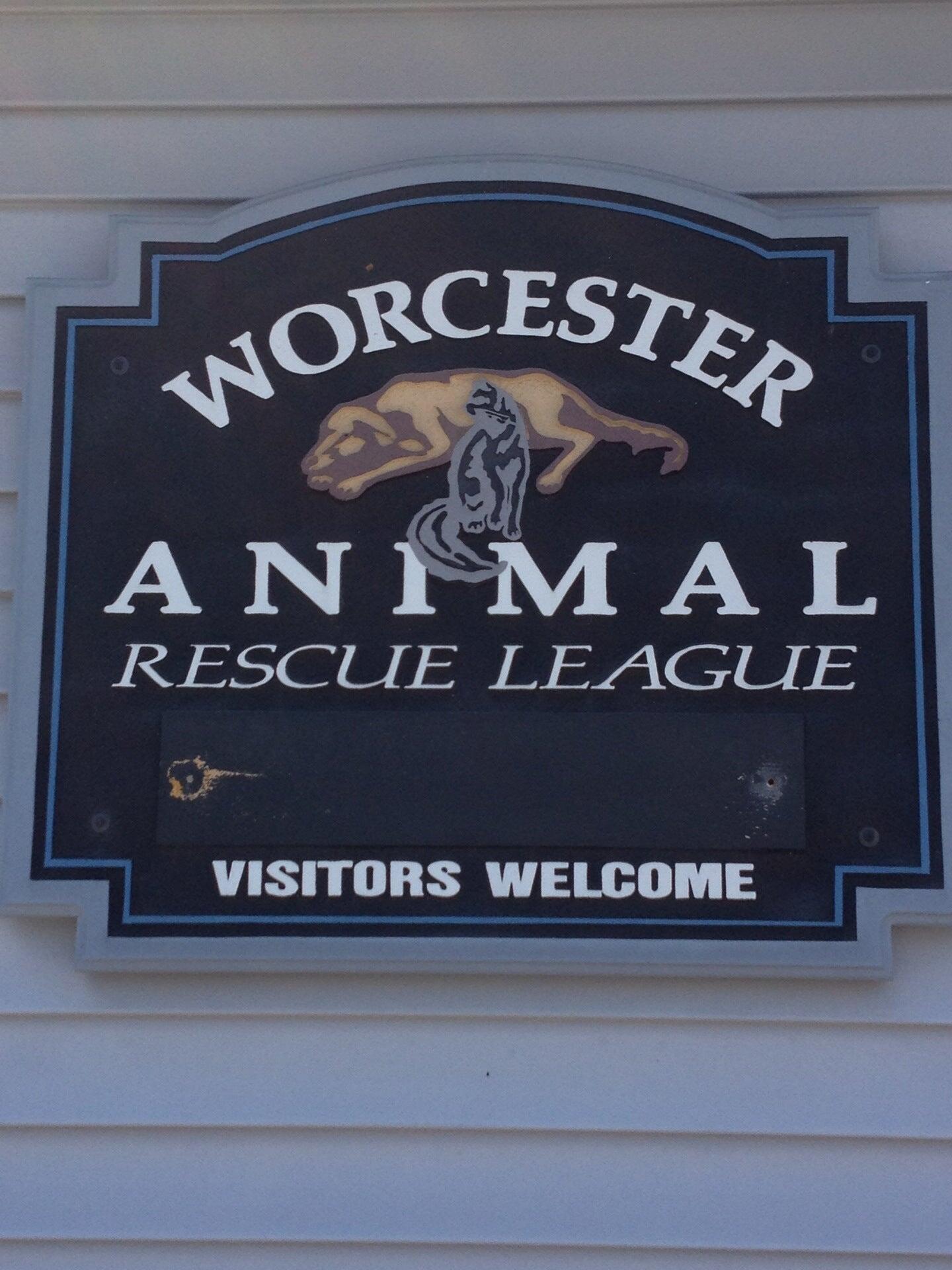Worcester Animal Rescue League - Worcester, MA - Nextdoor