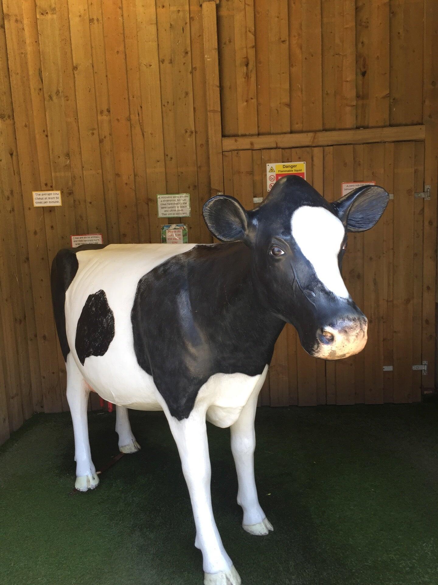 Reddish Vale Farm - Stockport - Nextdoor
