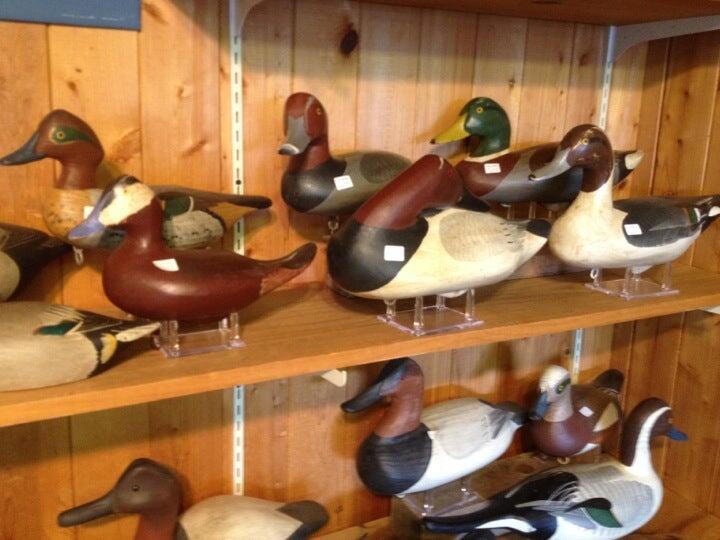 Bird Store - Kill Devil Hills, NC - Nextdoor